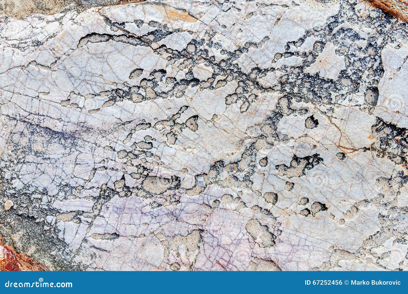 Colorful Texture of Sea Stone Texture Stock Photo - Image of structure ...