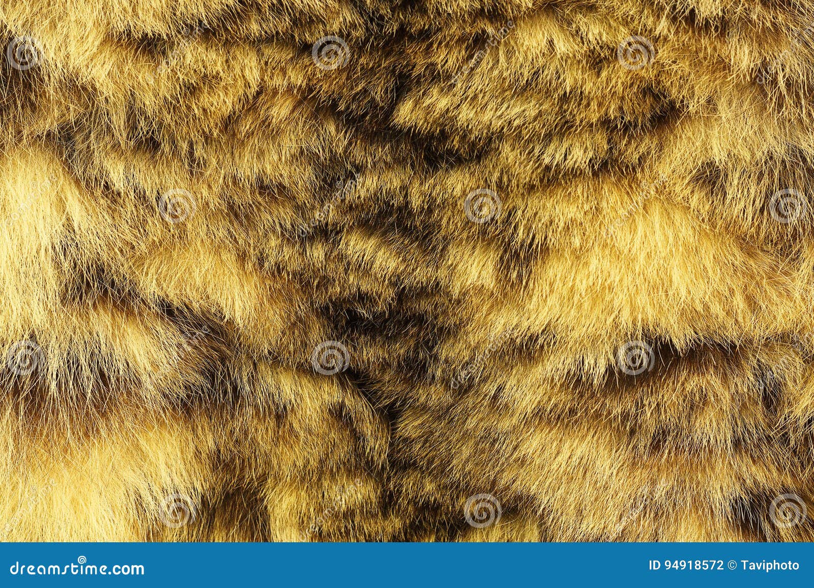 Colorful Texture of Snow Leopard Fur Stock Photo - Image of closeup ...