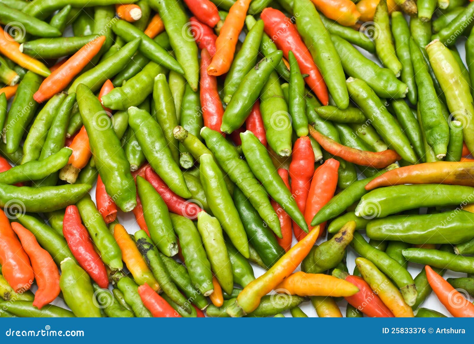 Colorful thailand chili stock photo. Image of food, cuisine - 25833376