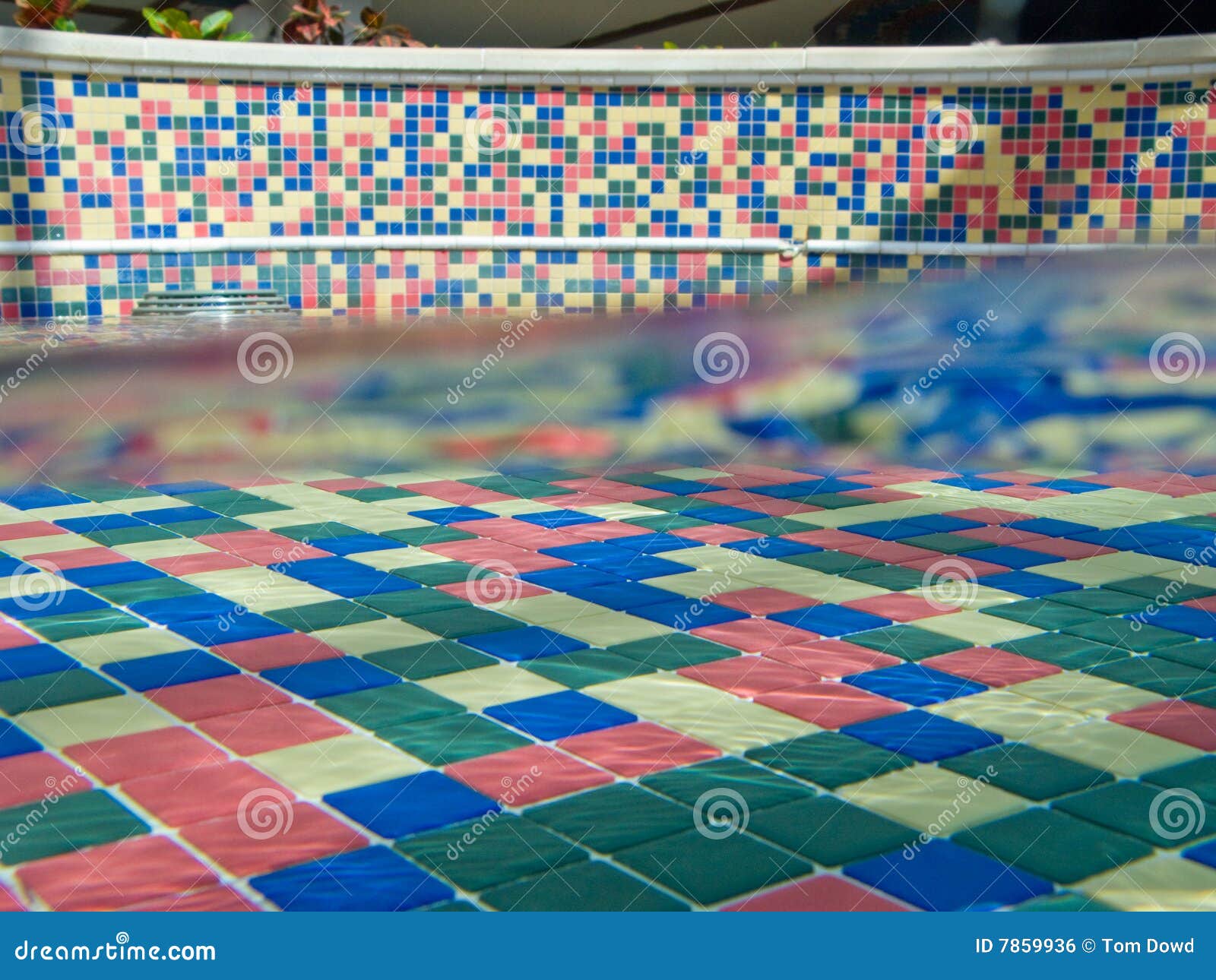 6,042 Tiled Pool Stock Photos - Free & Royalty-Free Stock Photos from ...