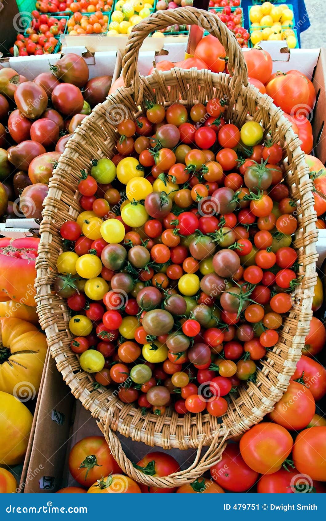 Colorful Tomatoes stock image. Image of tasty, vitamin - 479751