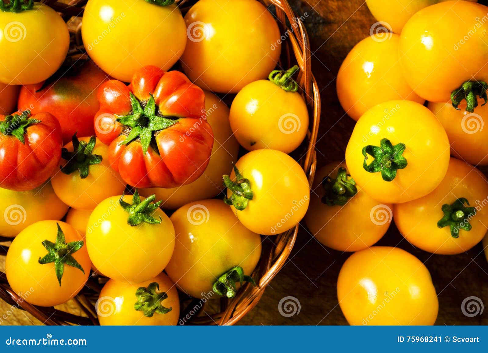 Colorful tomatoes stock image. Image of tomatoes, food - 75968241
