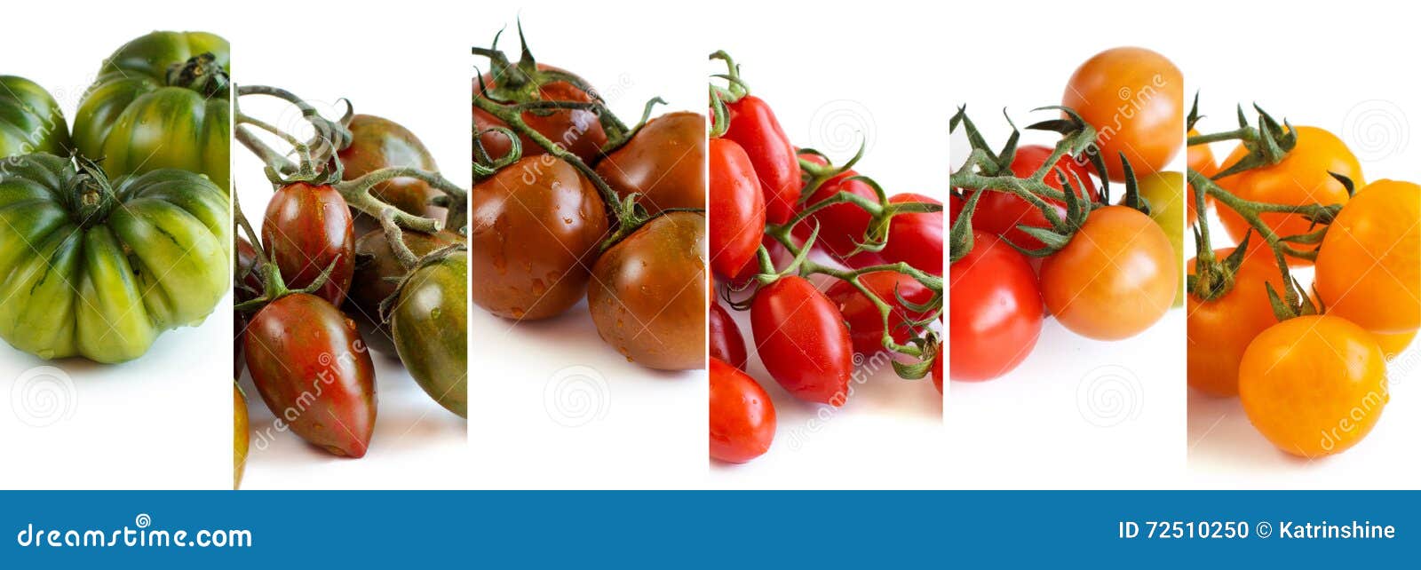Colorful tomatoes collage stock photo. Image of empty - 72510250