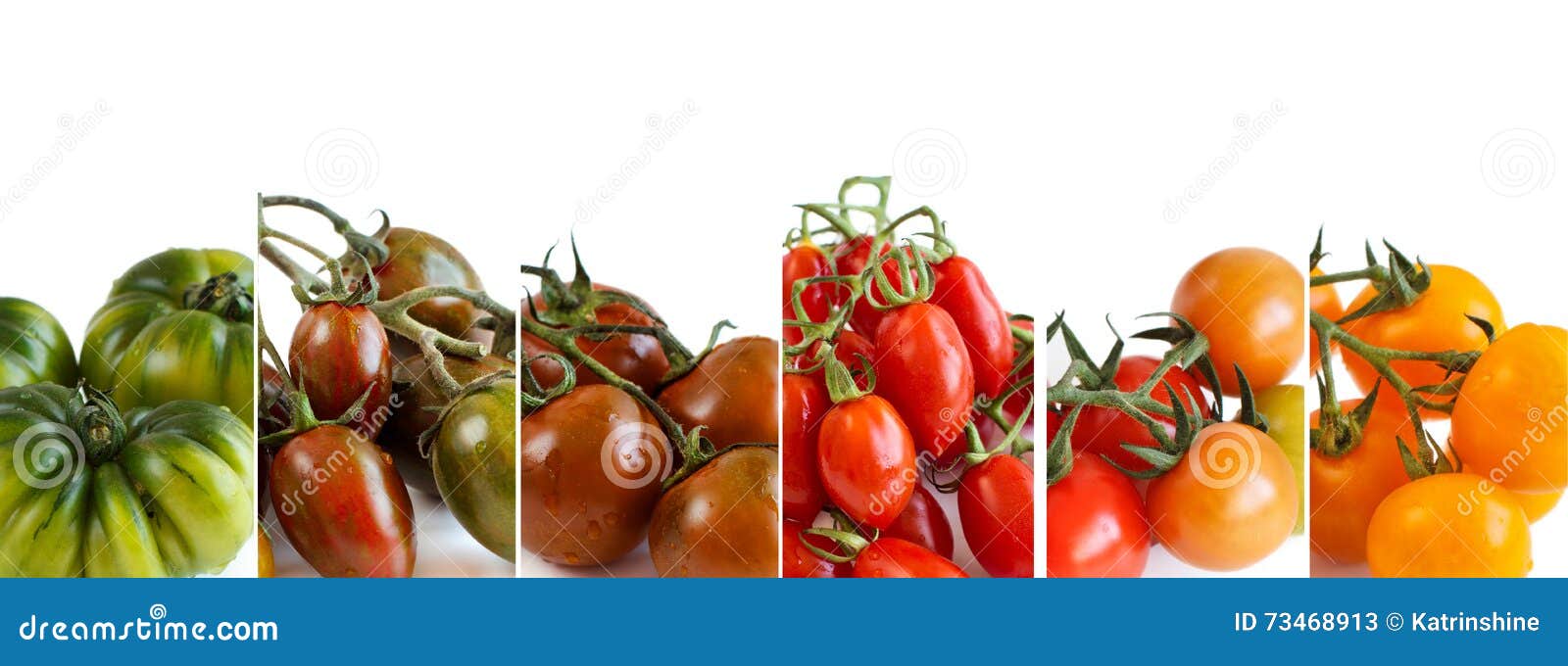Colorful tomatoes collage stock image. Image of white - 73468913
