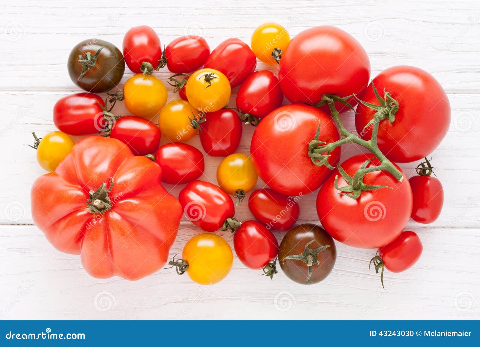 Colorful tomatoes stock photo. Image of tomatoes, green - 43243030