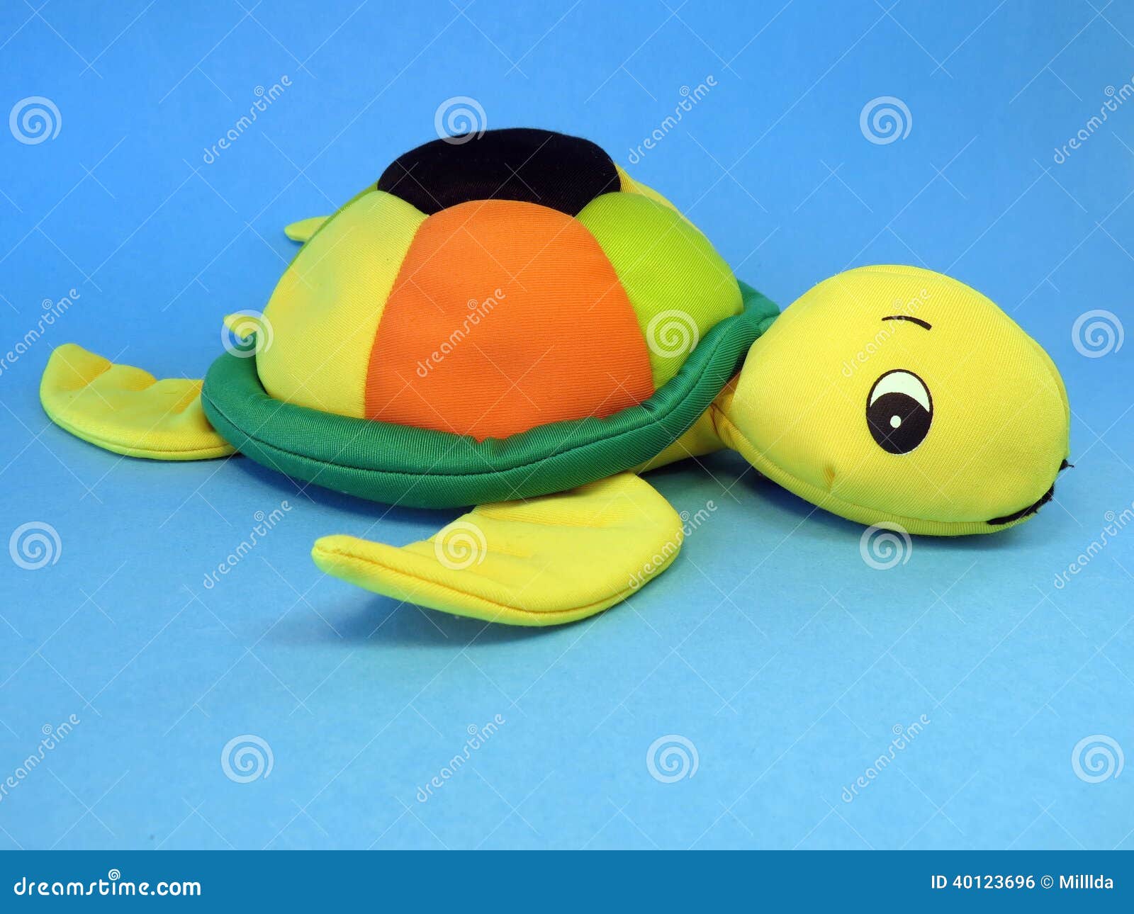 Colorful tortoise stock photo. Image of colored, black - 40123696