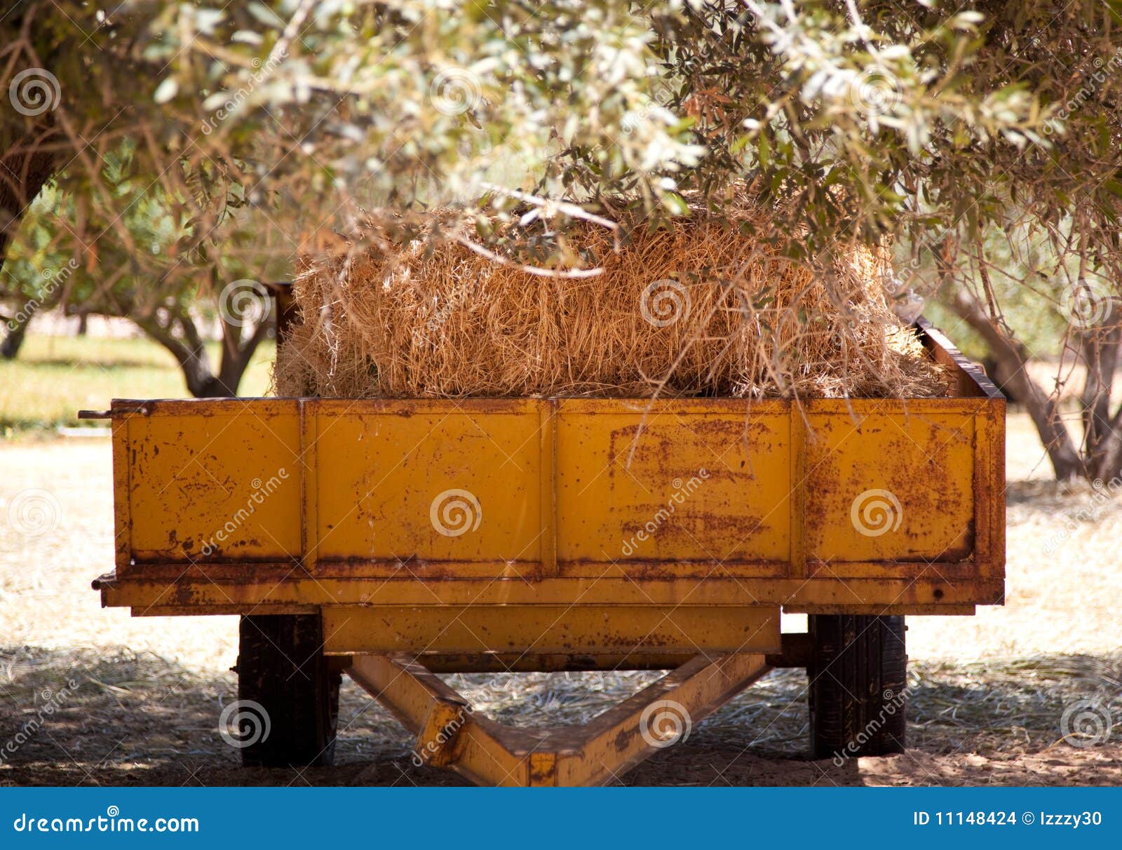 Colorful Tractor Trailer Full of Hay Stock Photo - Image of farm ...