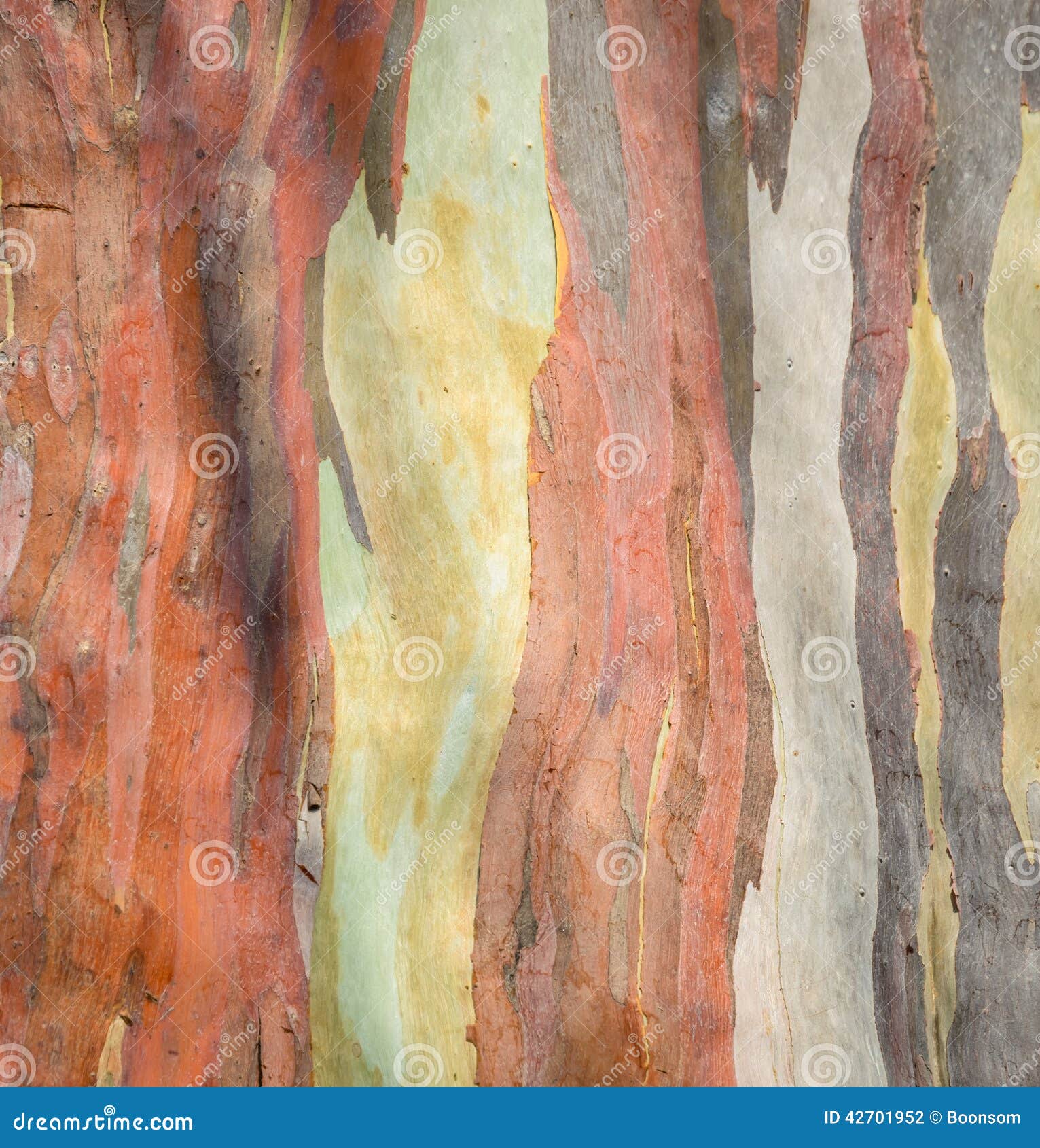 Colorful Tree Bark Background Stock Photo - Image of wood, backdrop ...