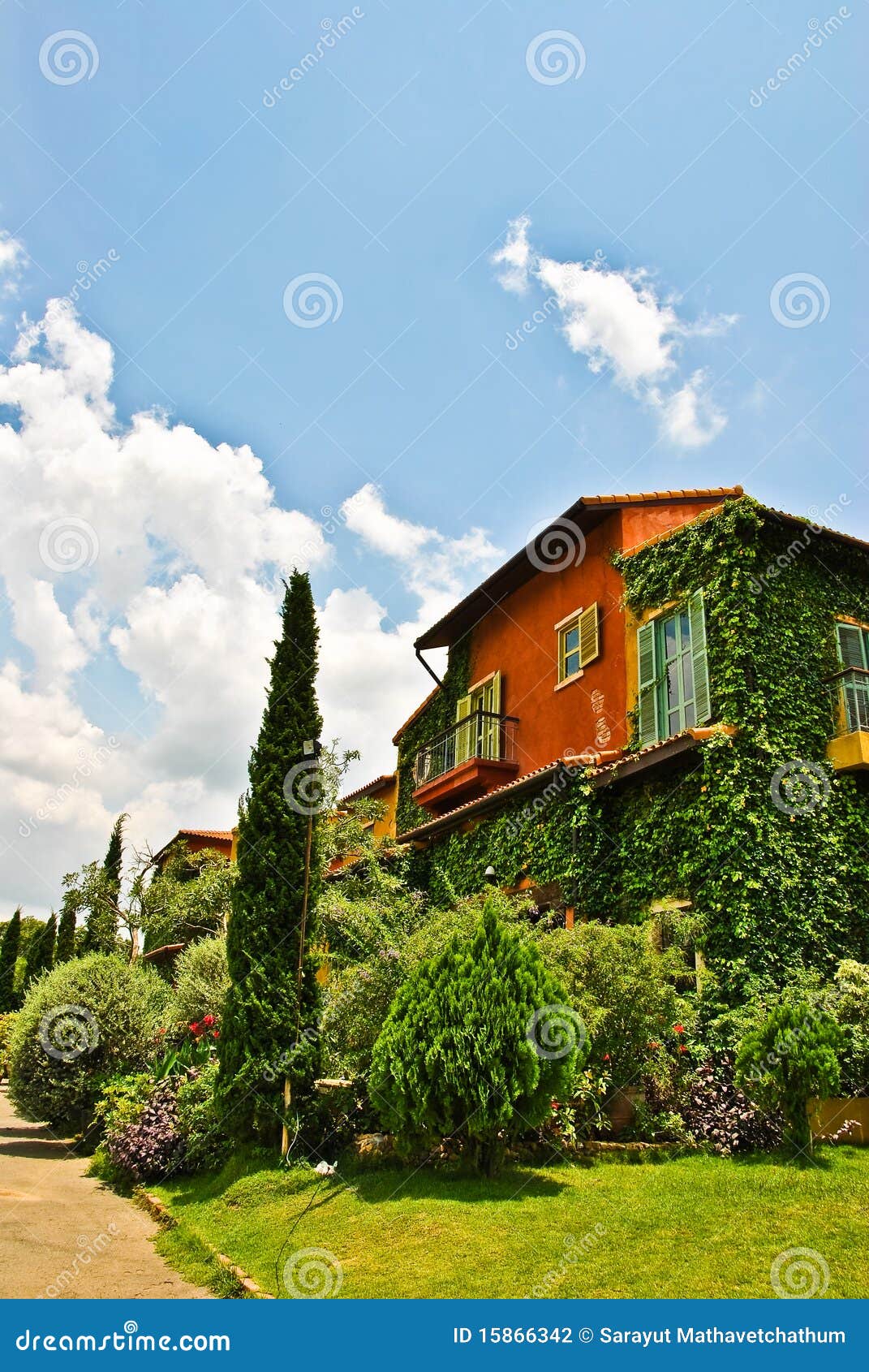 Colorful tree house. stock photo. Image of entrance, home - 15866342