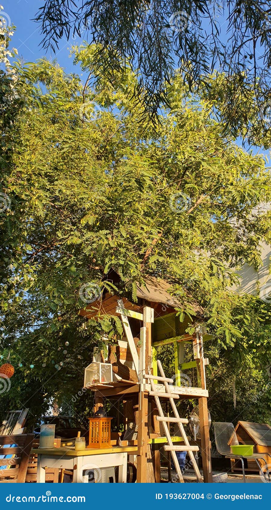 The colorful tree house stock photo. Image of colorful - 193627004