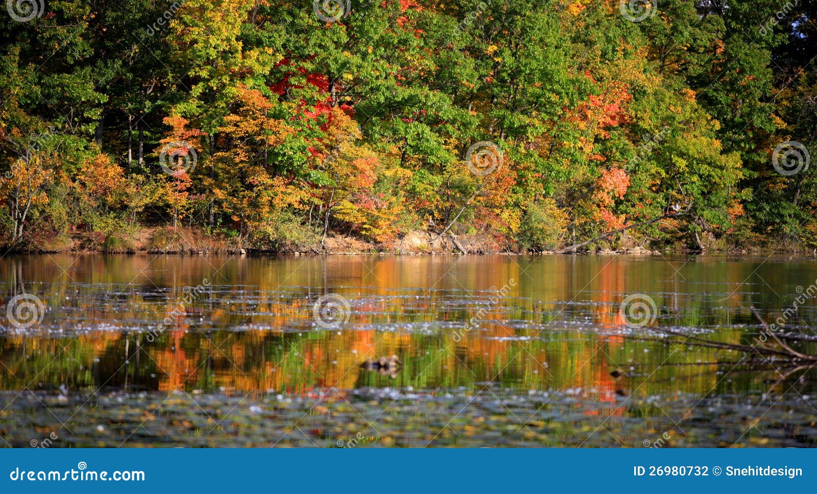 Colorful tree reflections stock photo. Image of blue - 26980732