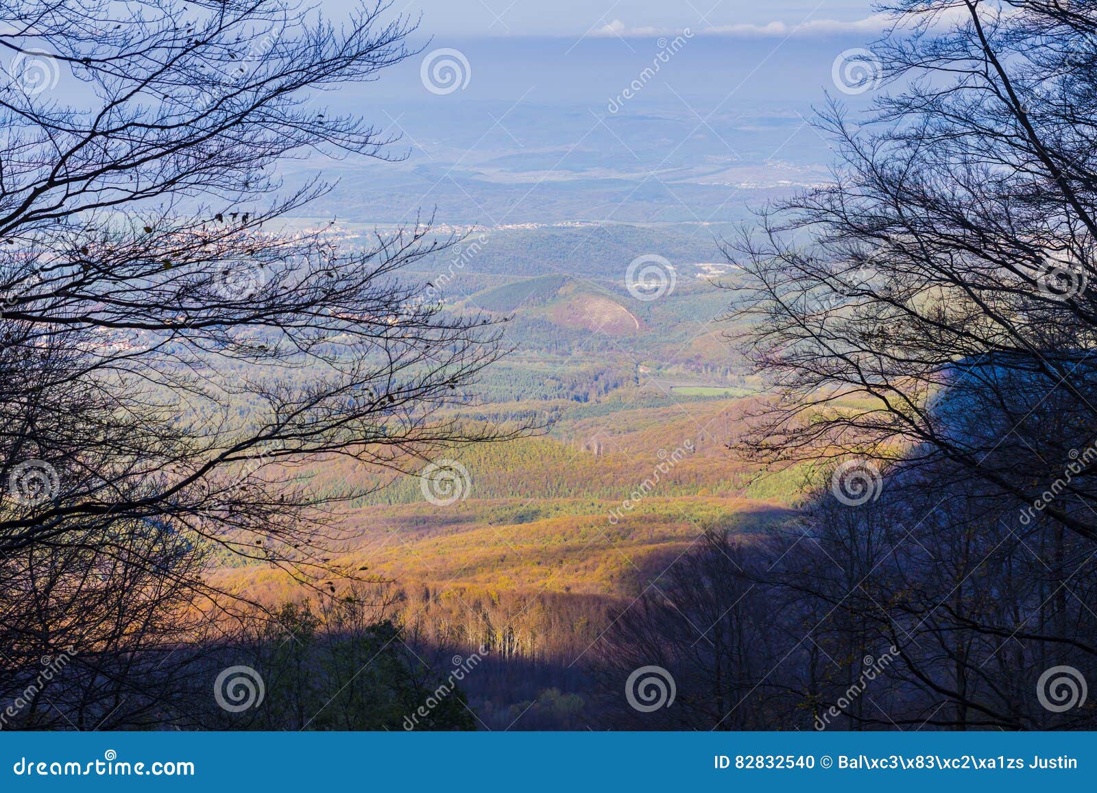 Colorful Trees in the Fall on a Hillside. Stock Photo - Image of ...
