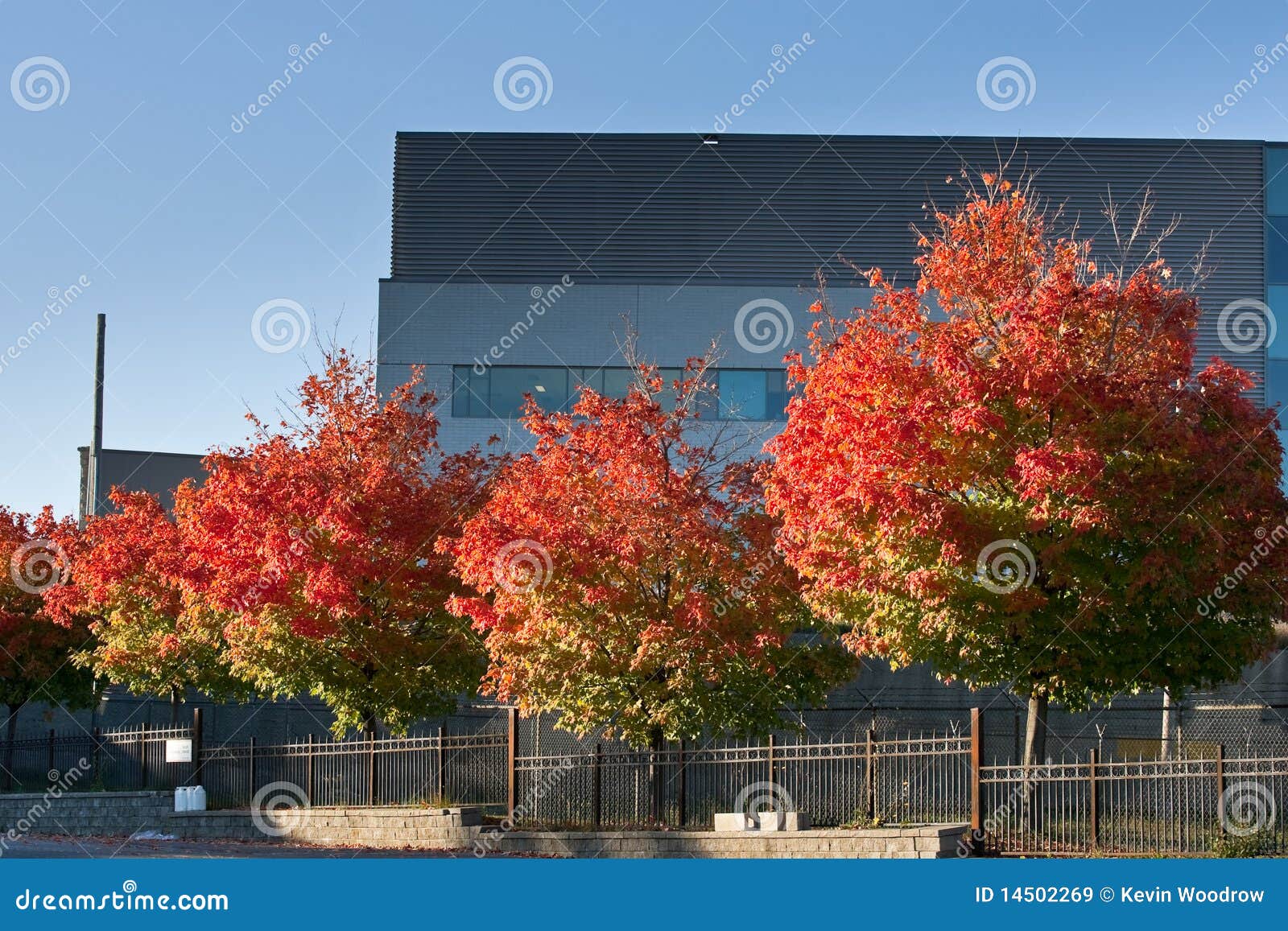 Colorful Trees in Front of Office Building Stock Image - Image of fence ...