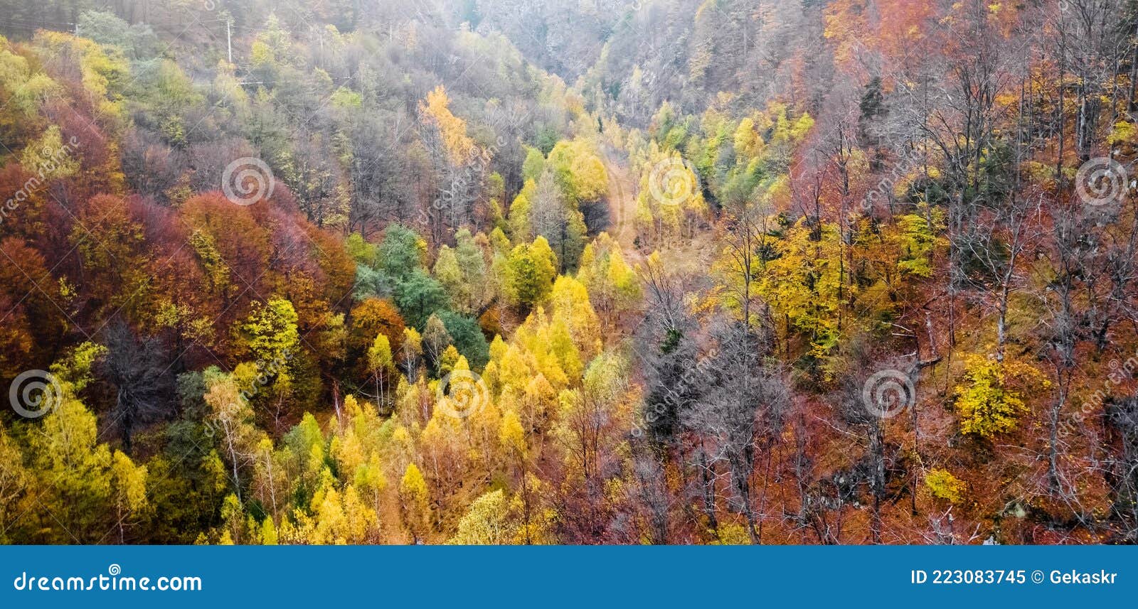 Colorful Trees in Mountains Stock Image - Image of great, stylish ...