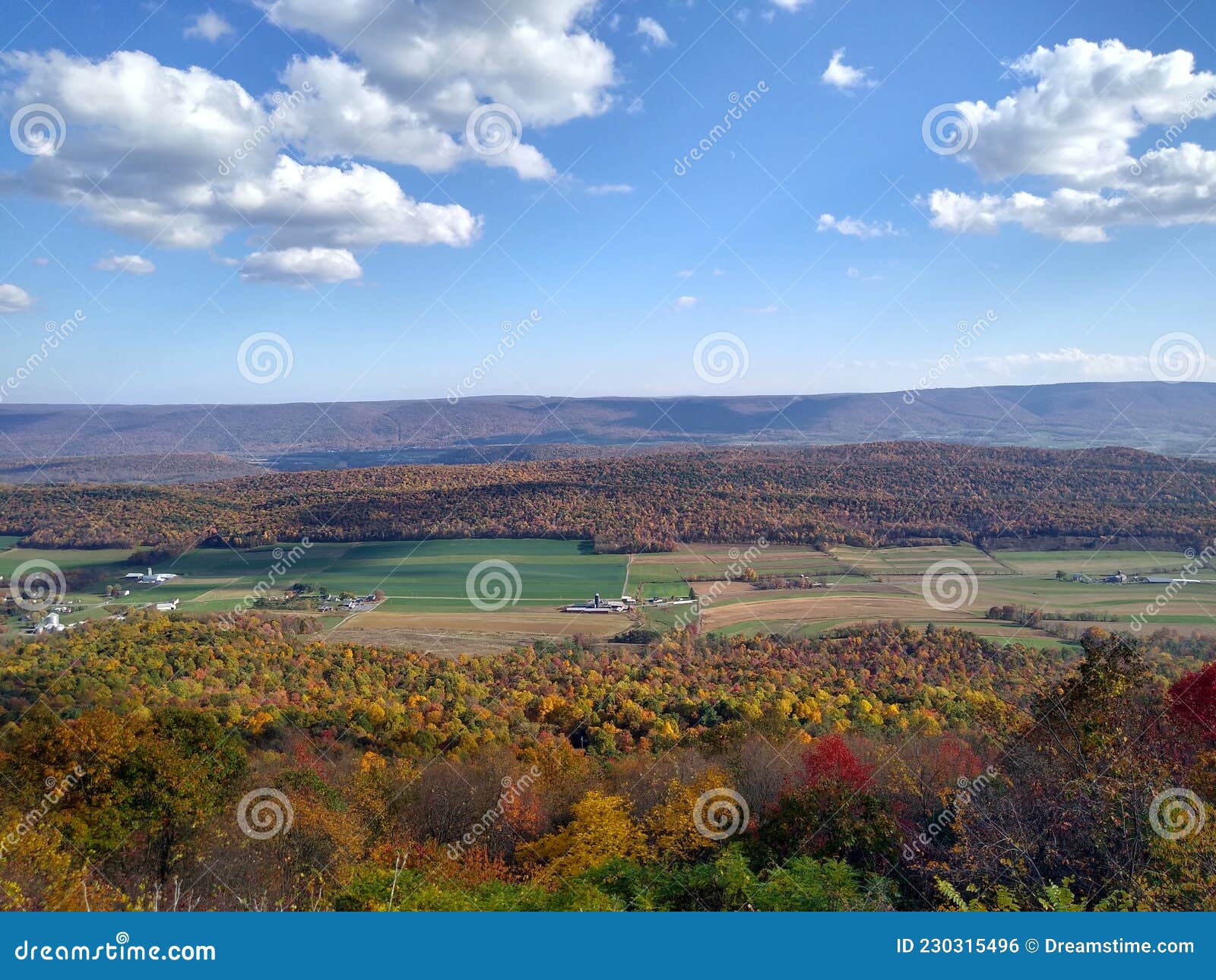 Colorful Trees on Mountains with Fields Stock Photo - Image of leaf ...