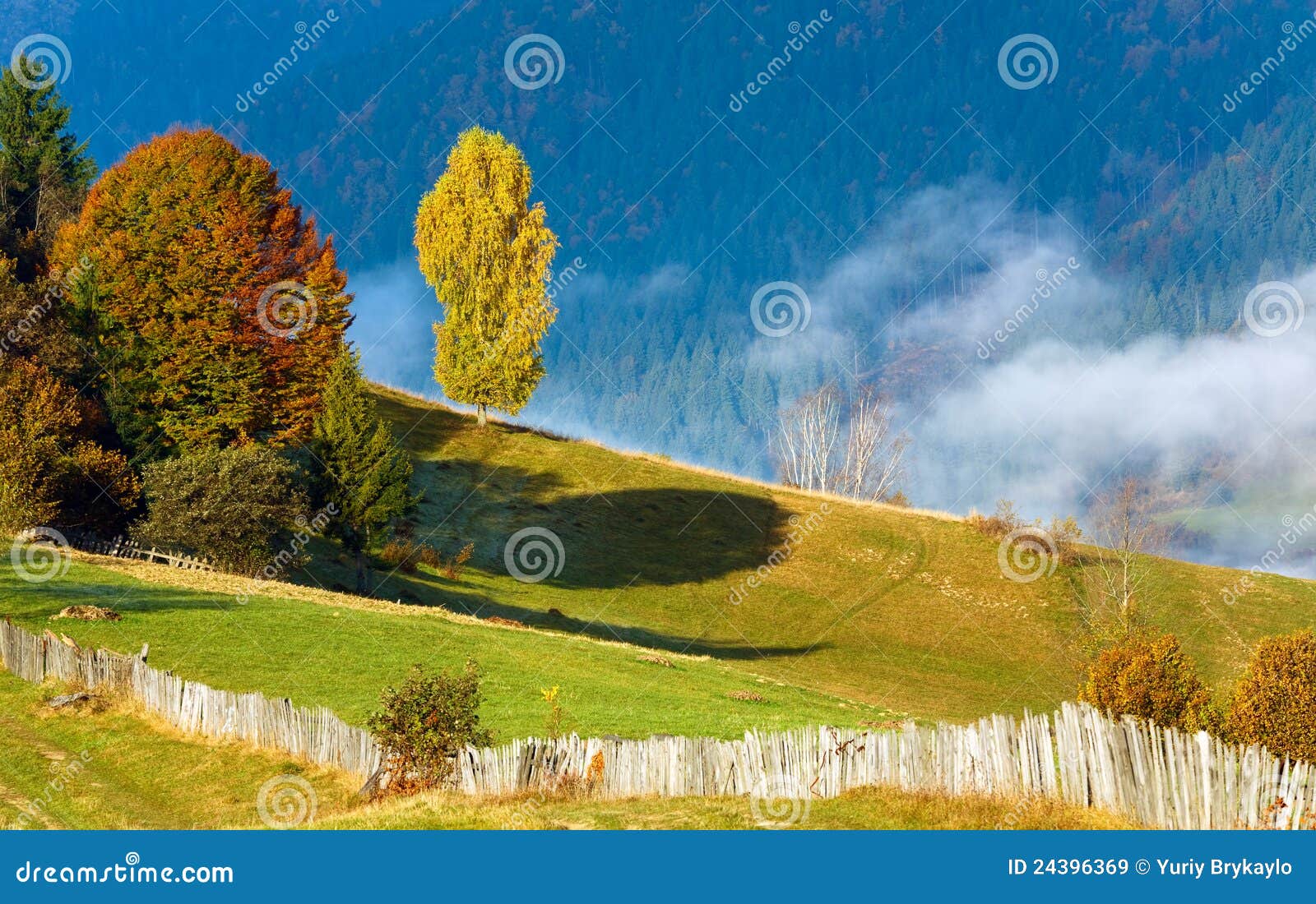 Colorful Trees on Mountainside Stock Image - Image of outdoor, colorful ...