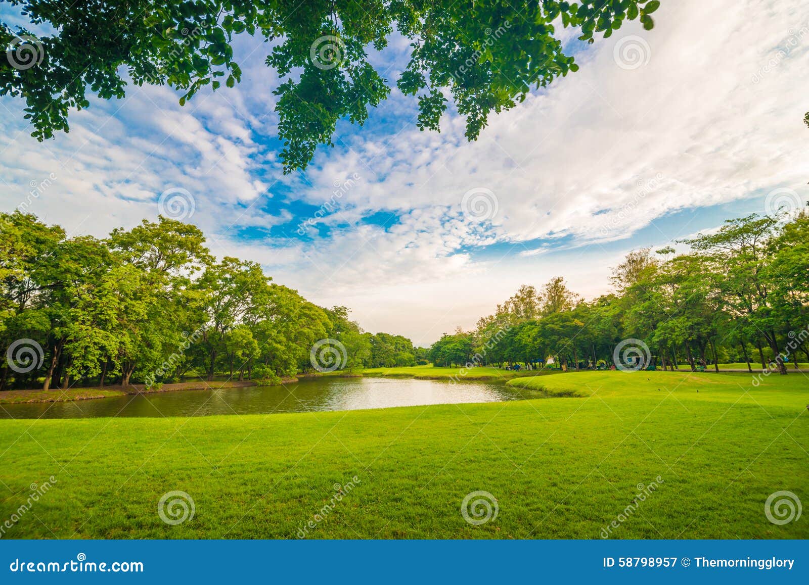 Colorful Trees Over Lake with Reflection Stock Image - Image of ...