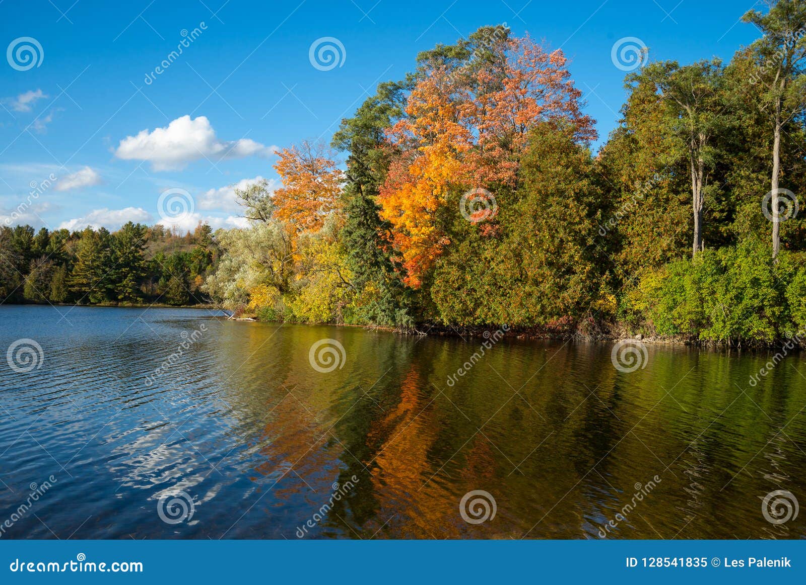Colorful Trees Reflected in Calm Lake Stock Image - Image of pine ...