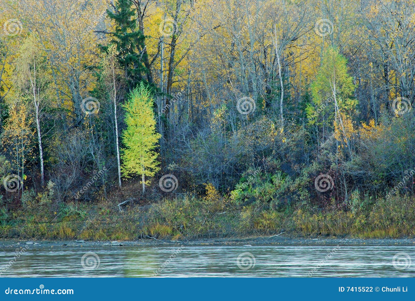 Colorful Trees in River Valley Stock Photo - Image of hawrelak, bridge ...