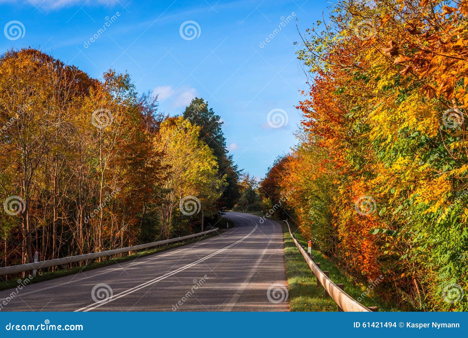 Colorful trees by a road stock photo. Image of fall, path - 61421494