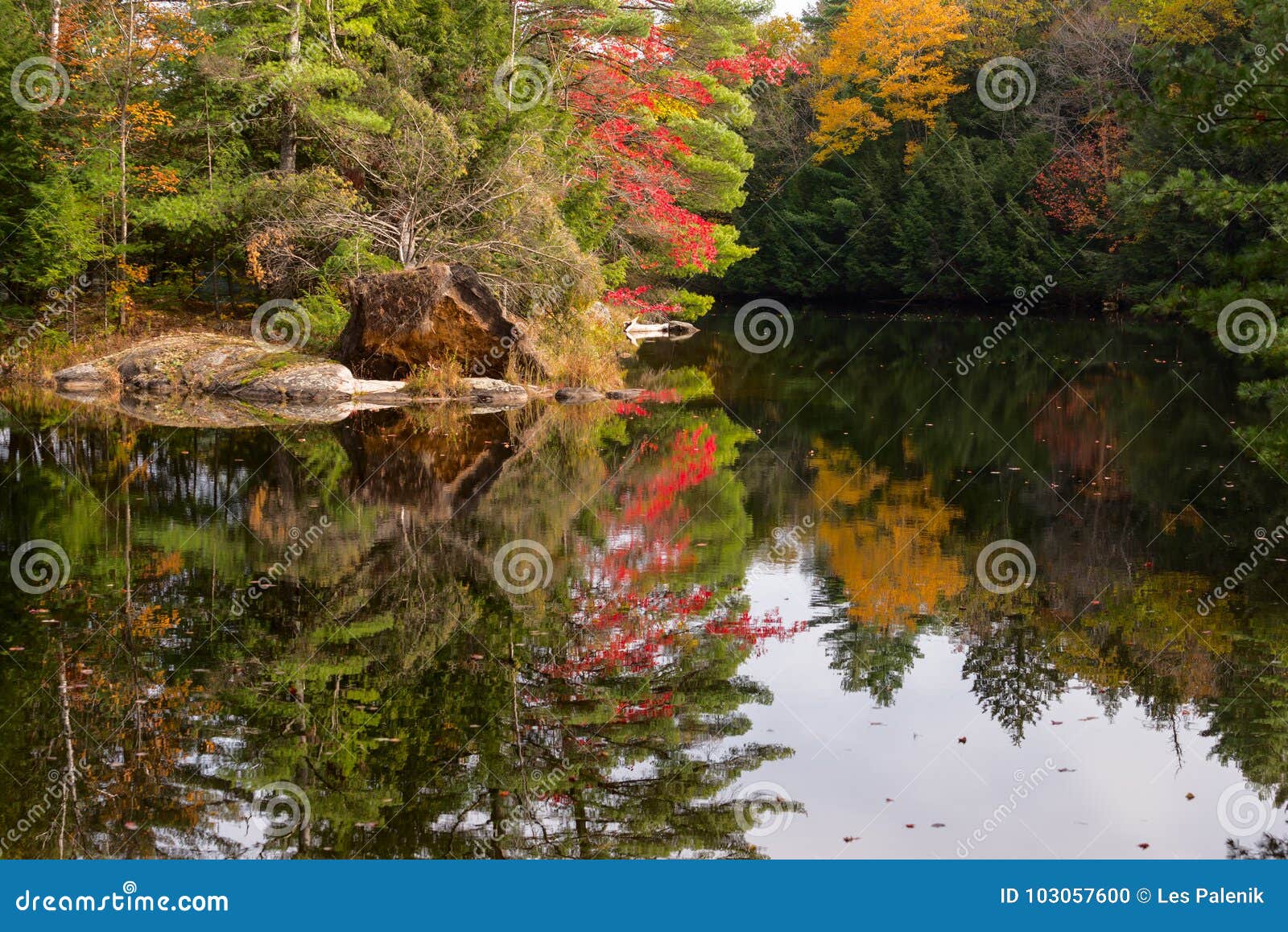 Colorful Trees Reflected in a Still Water Stock Photo - Image of ...