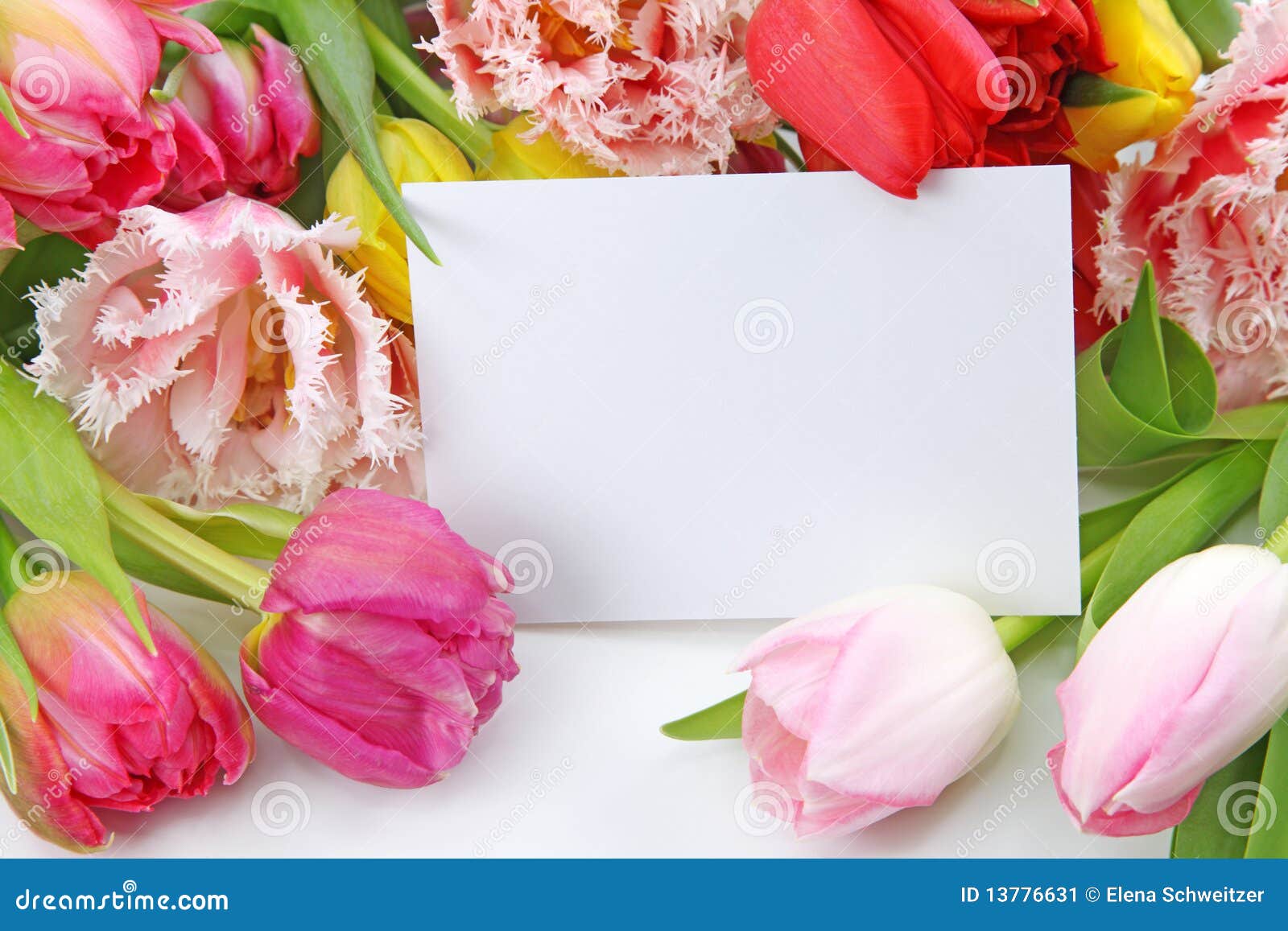 4,239 Tulips Note Stock Photos - Free & Royalty-Free Stock Photos from ...