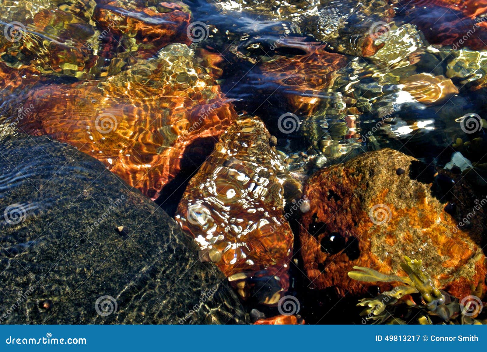 Colorful underwater rocks stock image. Image of nature - 49813217