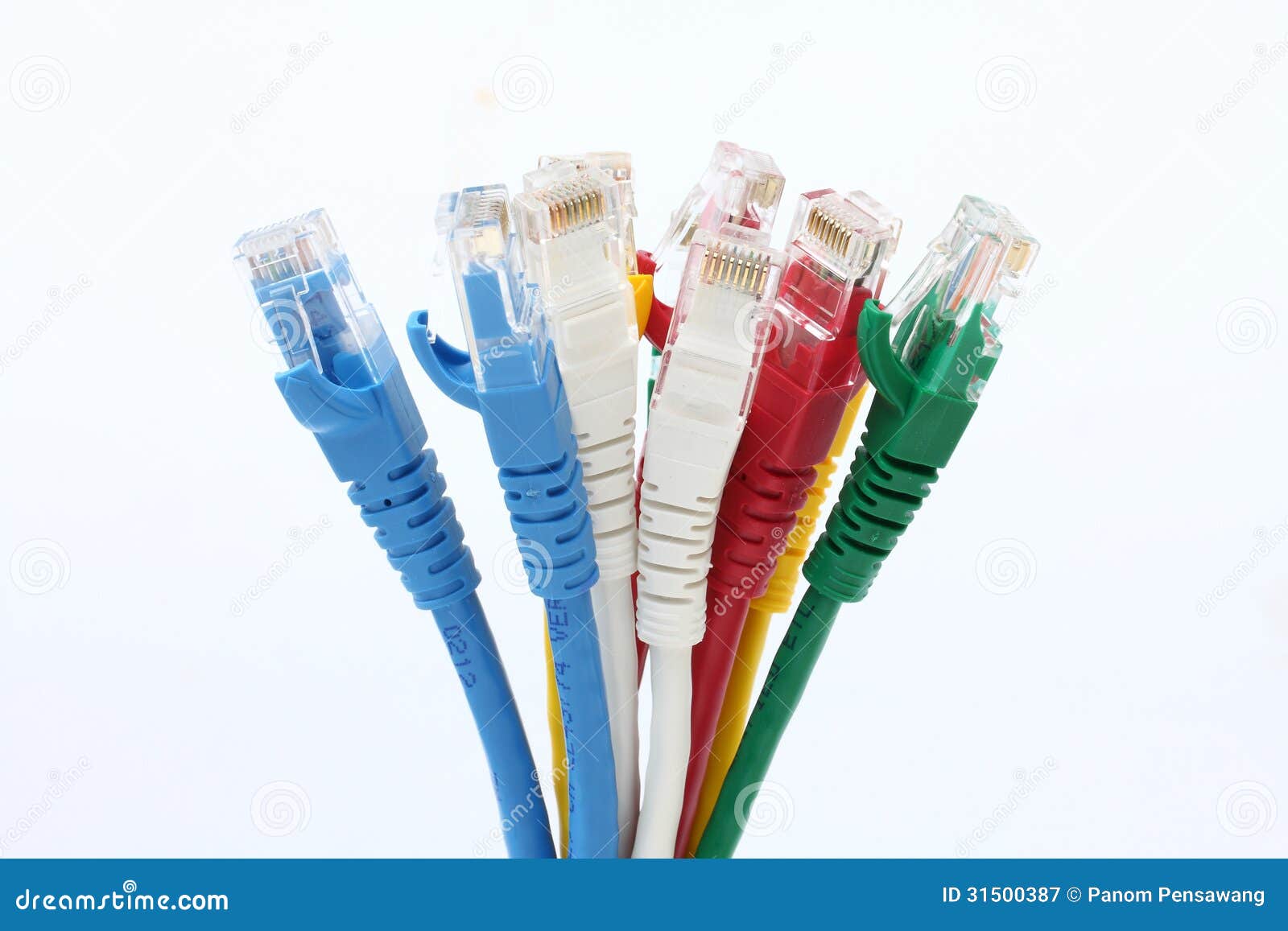 Colorful UTP Ethernet Cables LAN White Background Stock Image - Image ...