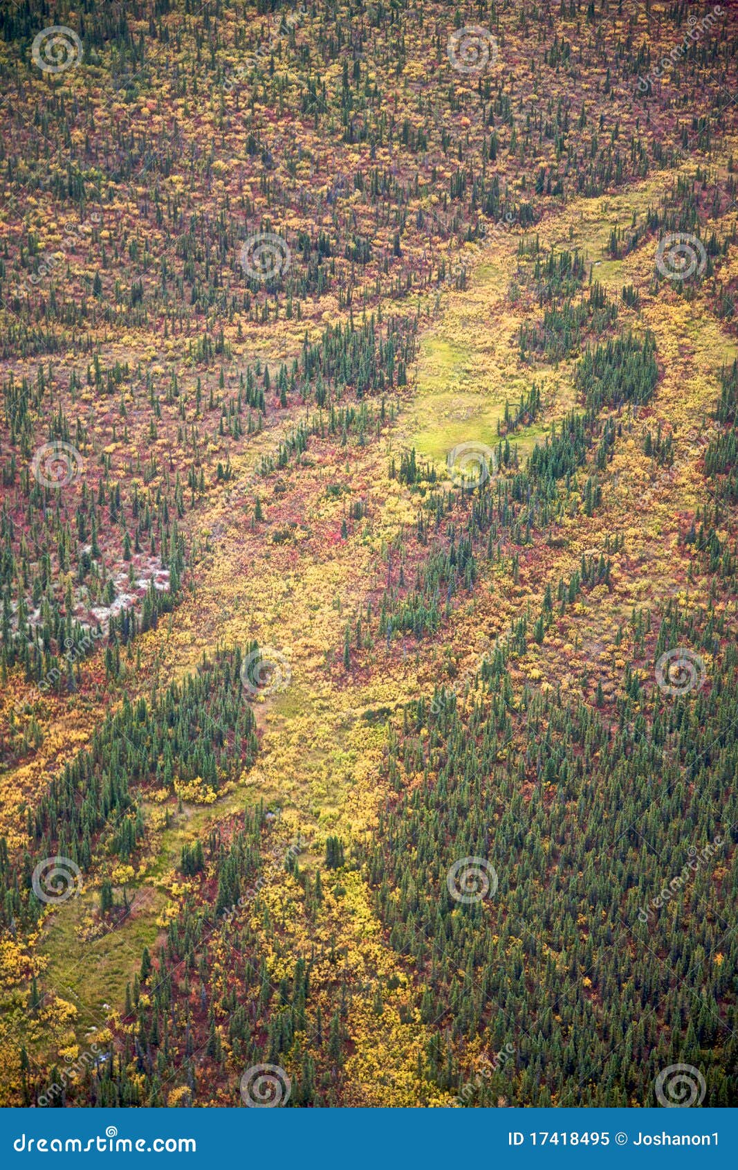 Colorful Valley stock image. Image of forest, beautiful - 17418495