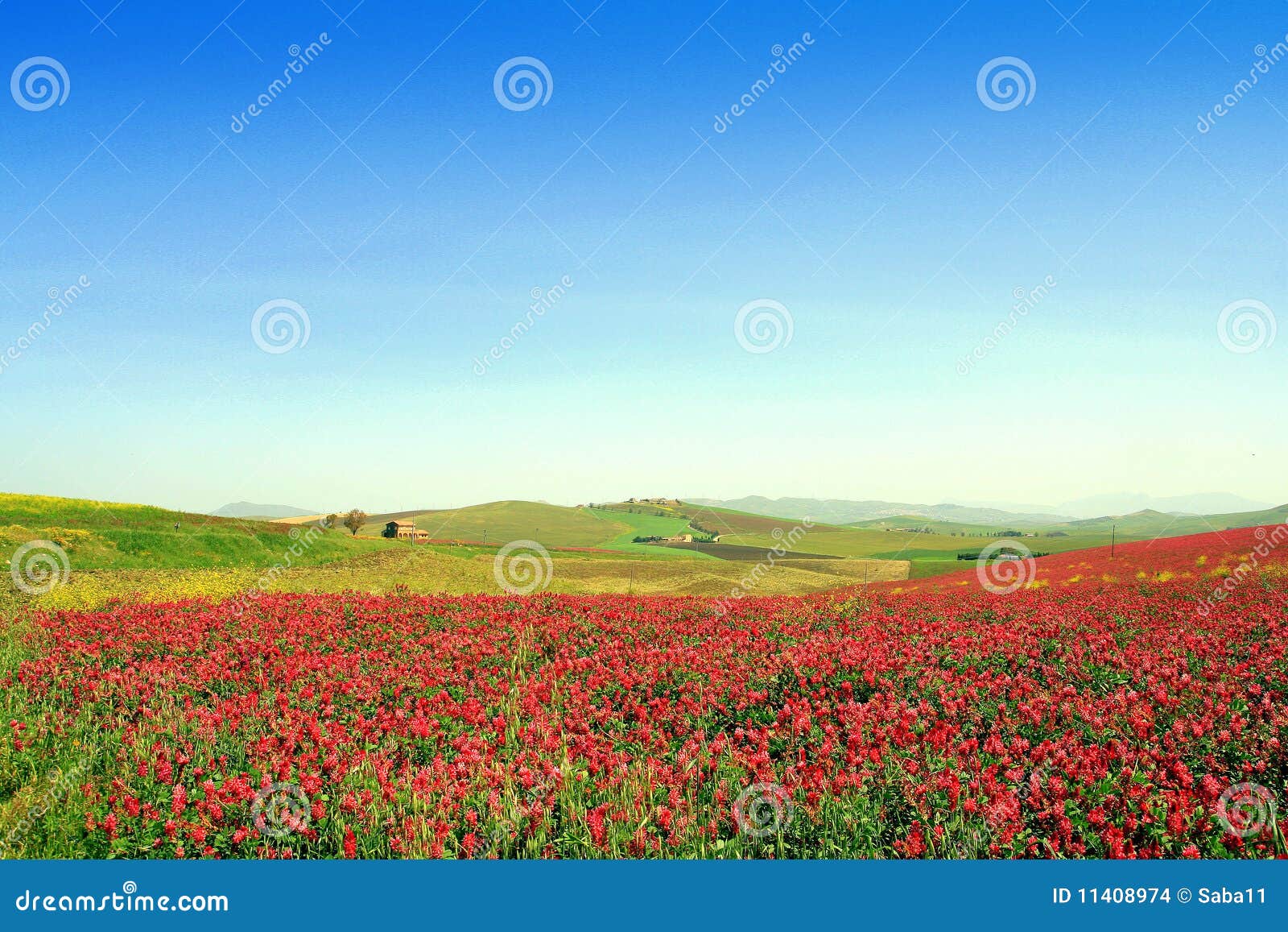 Colorful Valley Landscape. Italy Stock Photo - Image of house, growing ...