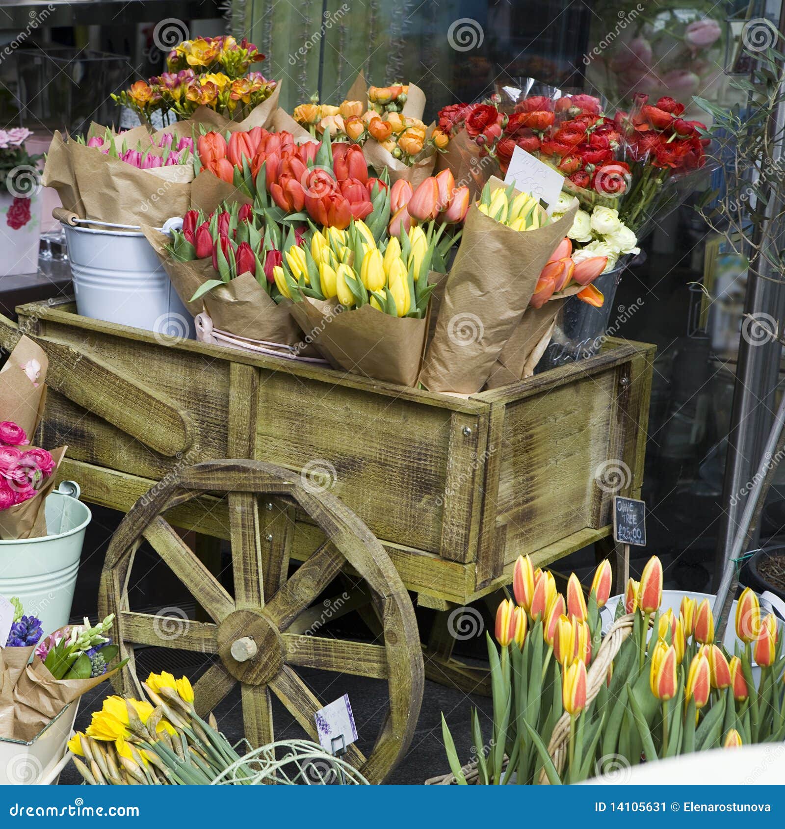 Colorful Variety of Flowers Stock Image - Image of petal, green: 14105631