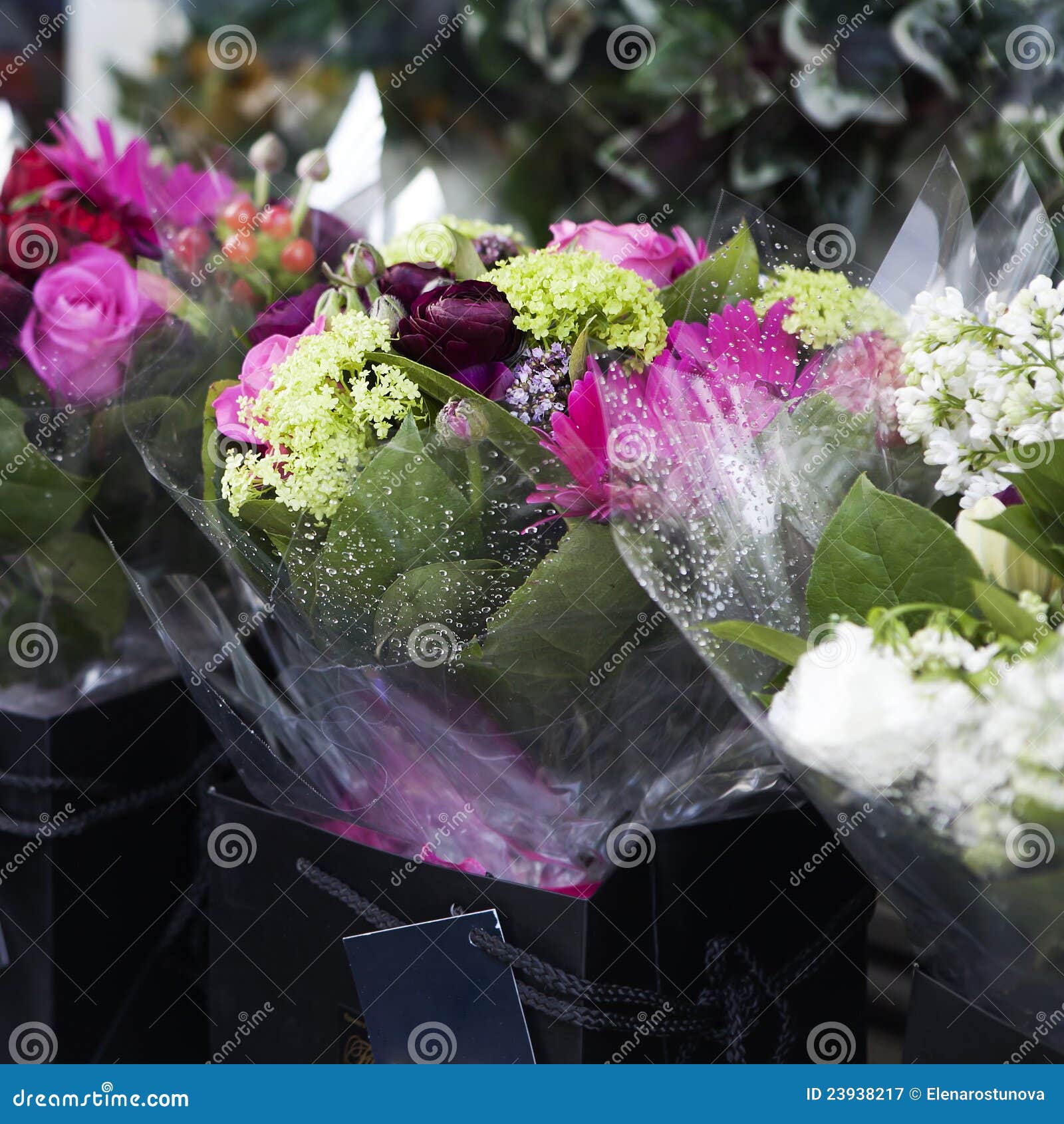 Colorful Variety of Flowers Stock Image - Image of hyacinth, life: 23938217