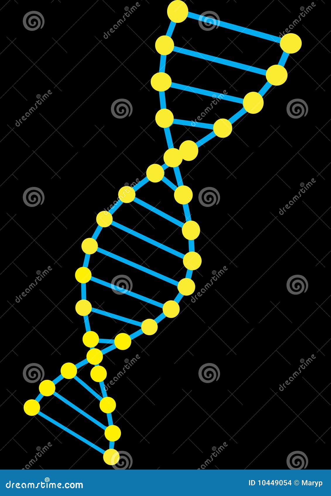 Colorful vector DNA model stock vector. Illustration of design - 10449054