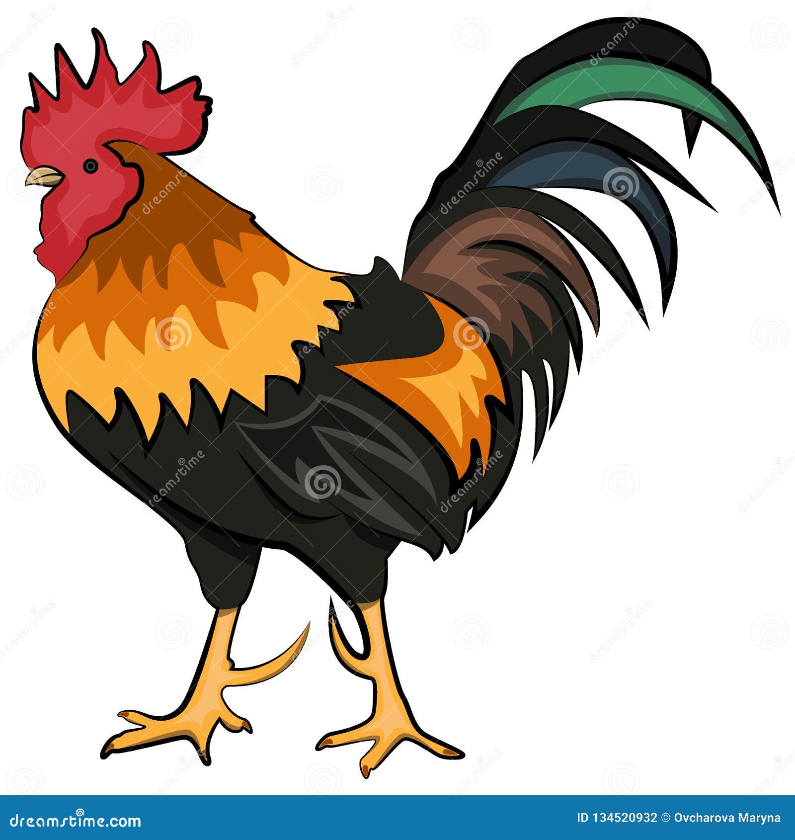 Colorful vector rooster stock vector. Illustration of vector - 134520932