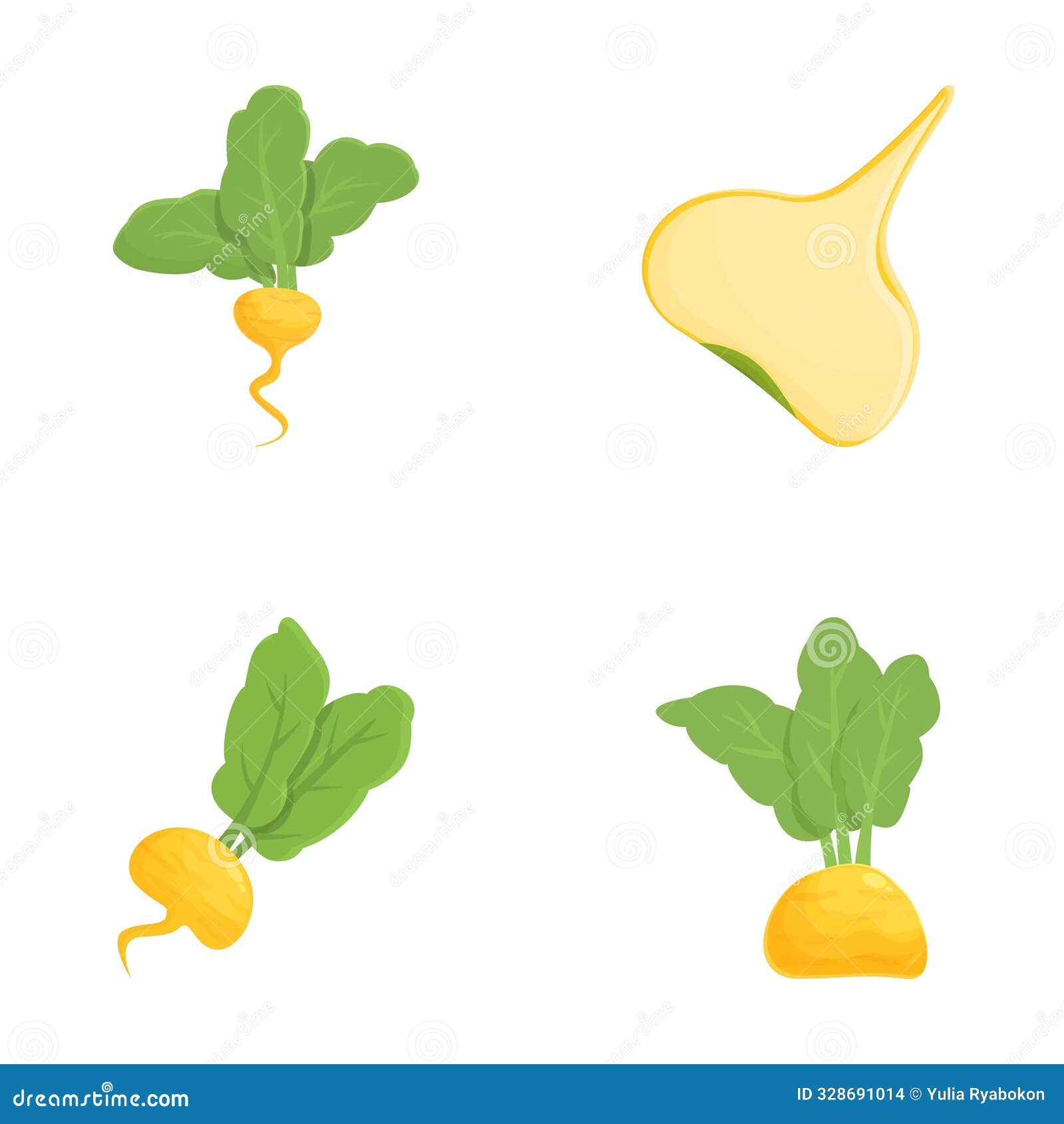 Root Vegetables Set, Vitamin Tubers And Green Leaf, Growing In Garden ...