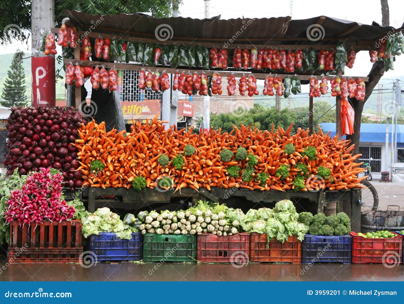 Colorful Vegetable Stand stock image. Image of stand, harvest - 3959201