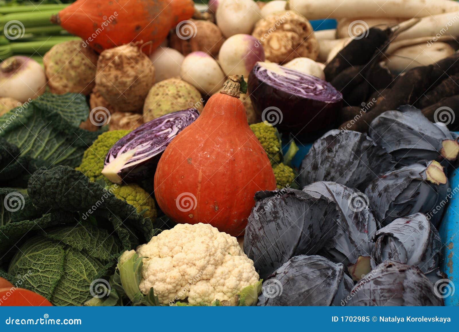 Colorful Vegetables Picture. Image: 1702985