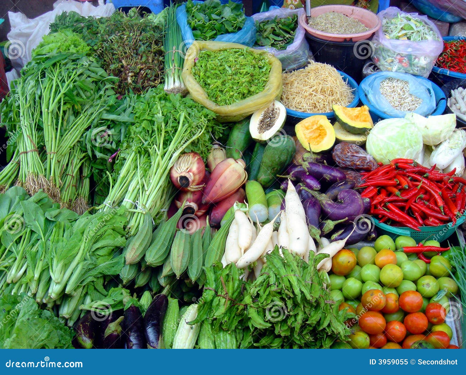 Colorful Vegetables stock image. Image of green, colors - 3959055