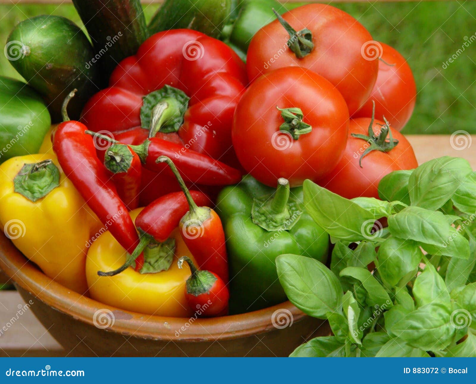 Colorful vegetables stock photo. Image of basil, cayenne - 883072