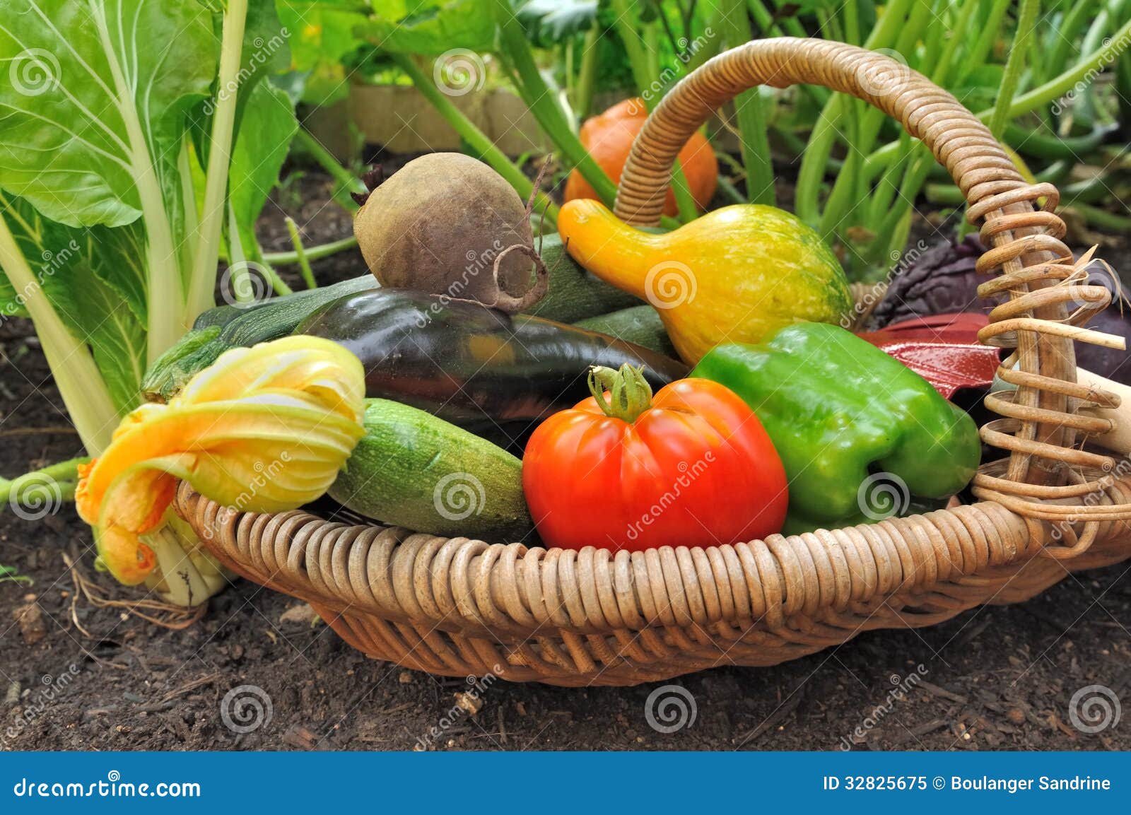 Colorful Vegetables in Basket Stock Image - Image of colorful, basket ...