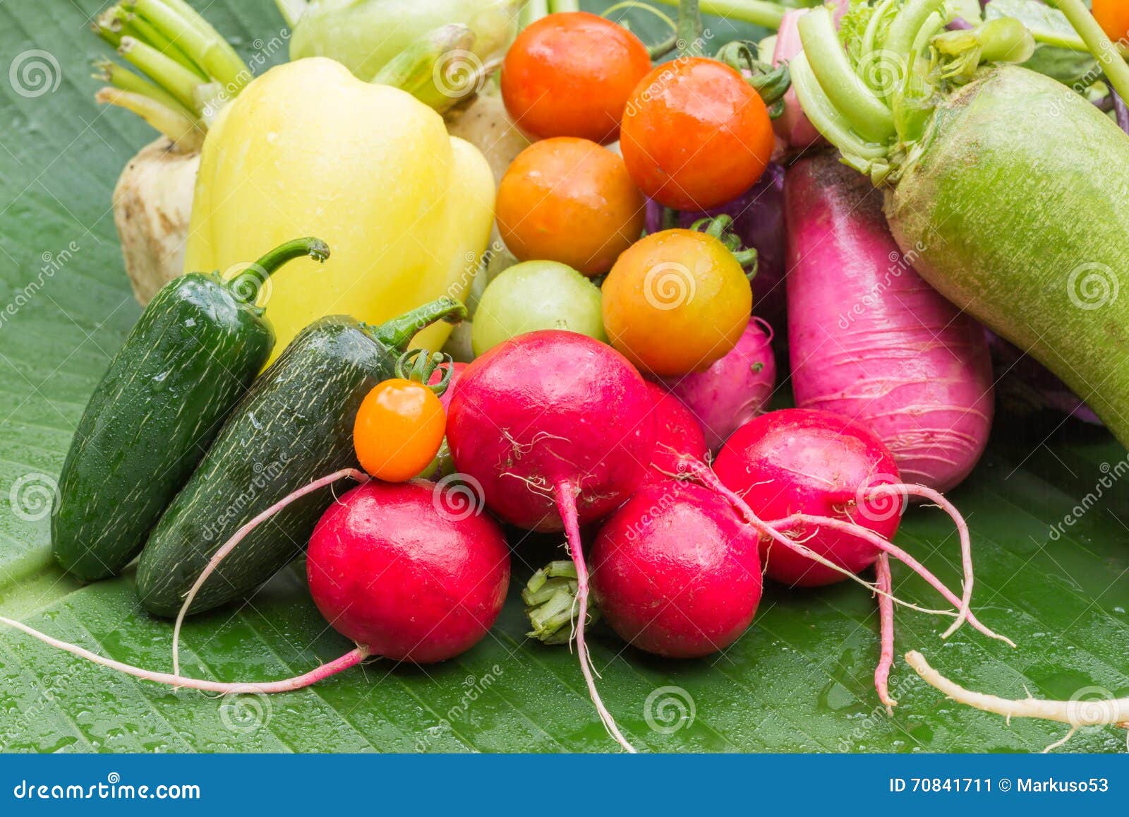 Colorful Vegetables stock image. Image of coloured, leaf - 70841711