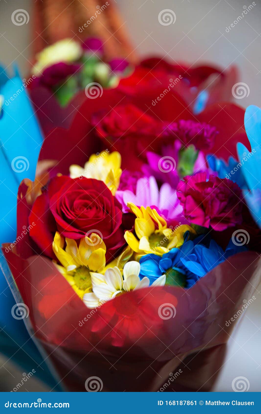 Vibrant Bouquet of Flowers. Stock Image - Image of iris ...