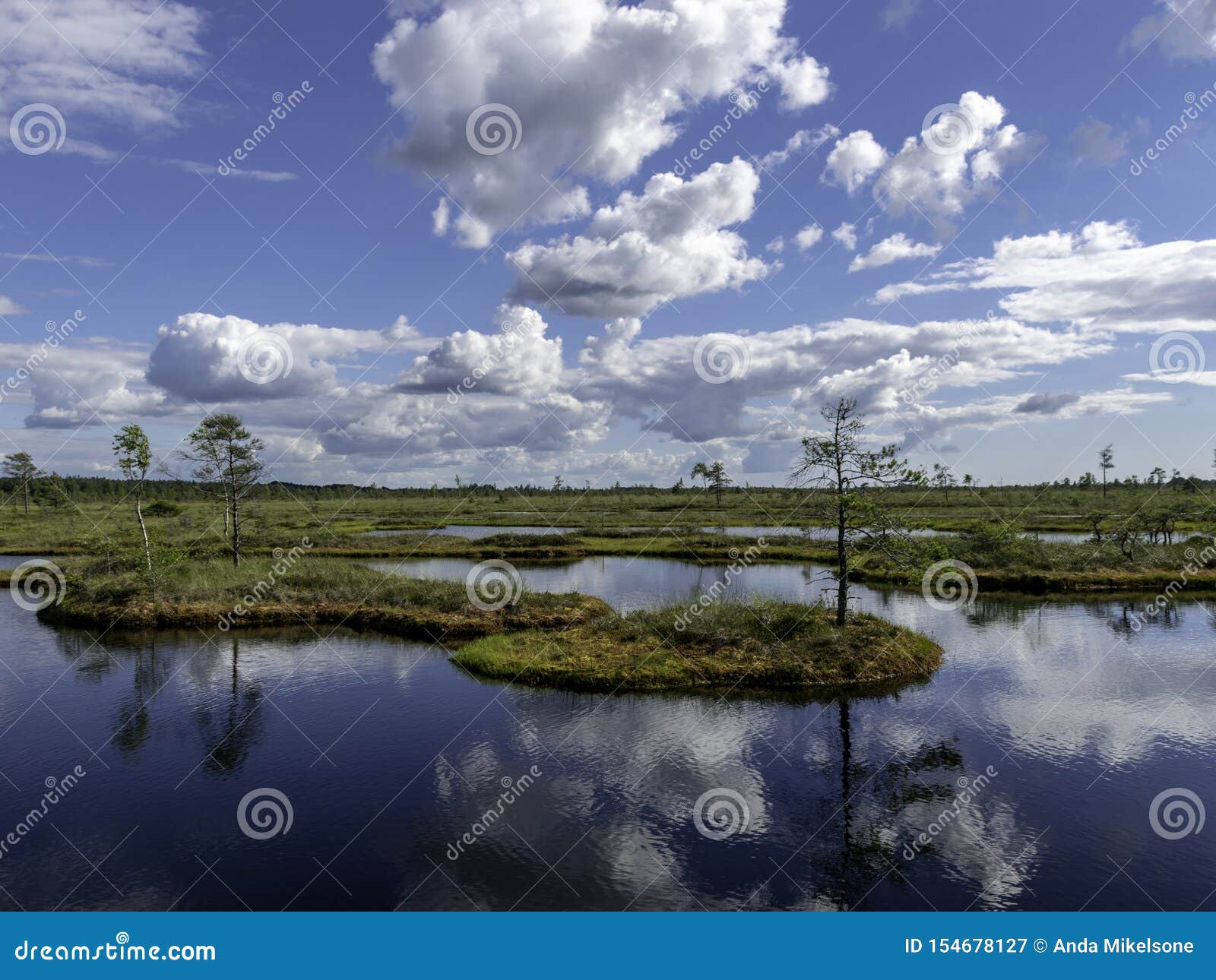 Colorful view of the bog stock image. Image of morning - 154678127