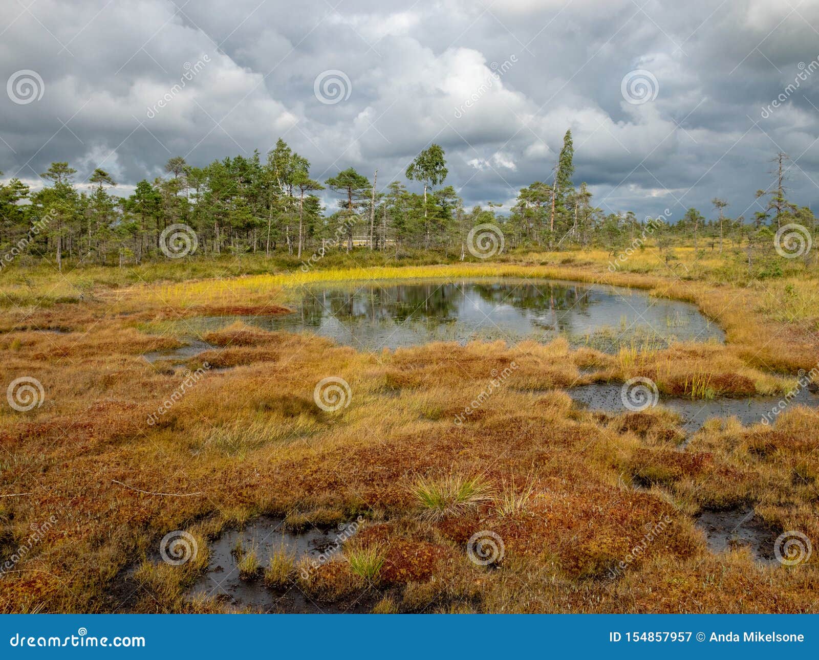 Colorful View of the Bog with Clouds Stock Image - Image of silhouettes ...