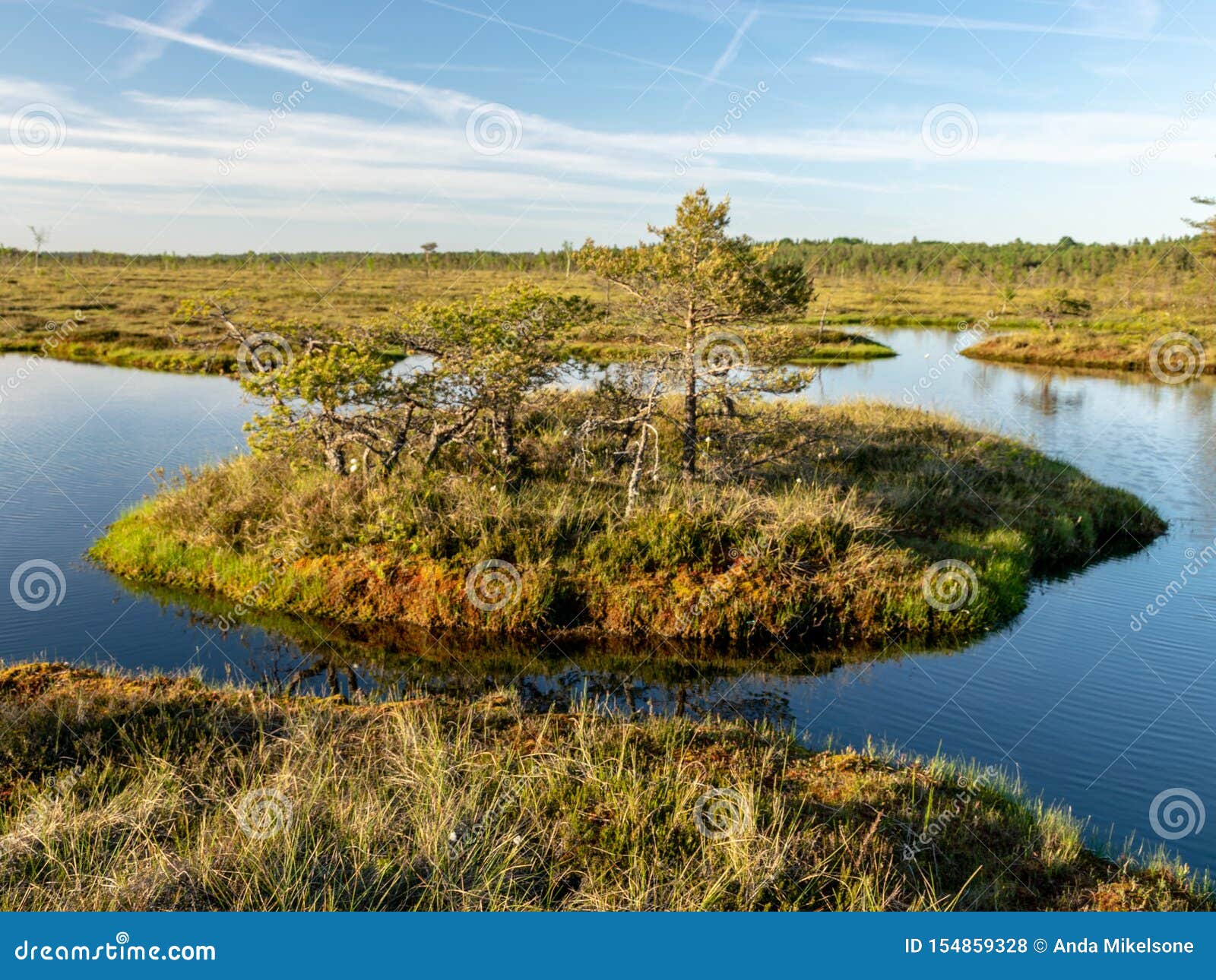 Colorful View of the Bog with Clouds Stock Photo - Image of calm ...