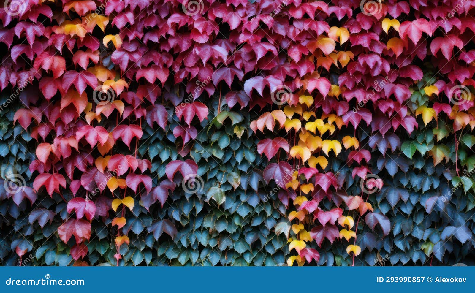 Colorful Vine Wall in a Botanic Garden AI Generated Stock Illustration ...