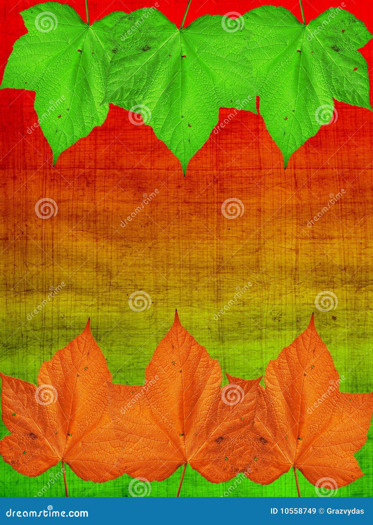 Colorful Vivid Background of Autumn Stock Illustration - Illustration ...