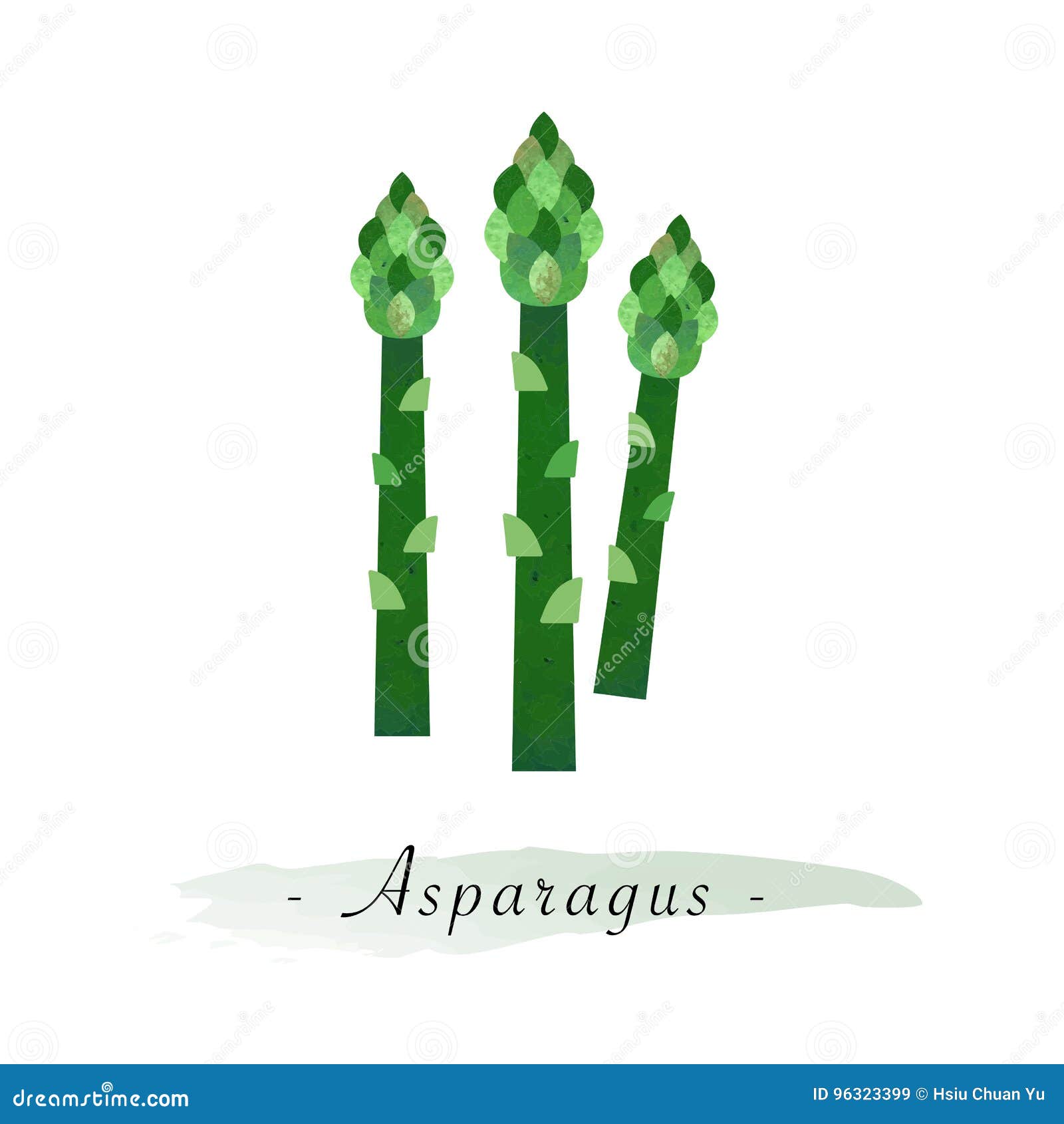 A Colorful Watercolor Texture Vector Healthy Vegetable Asparagus Stock ...