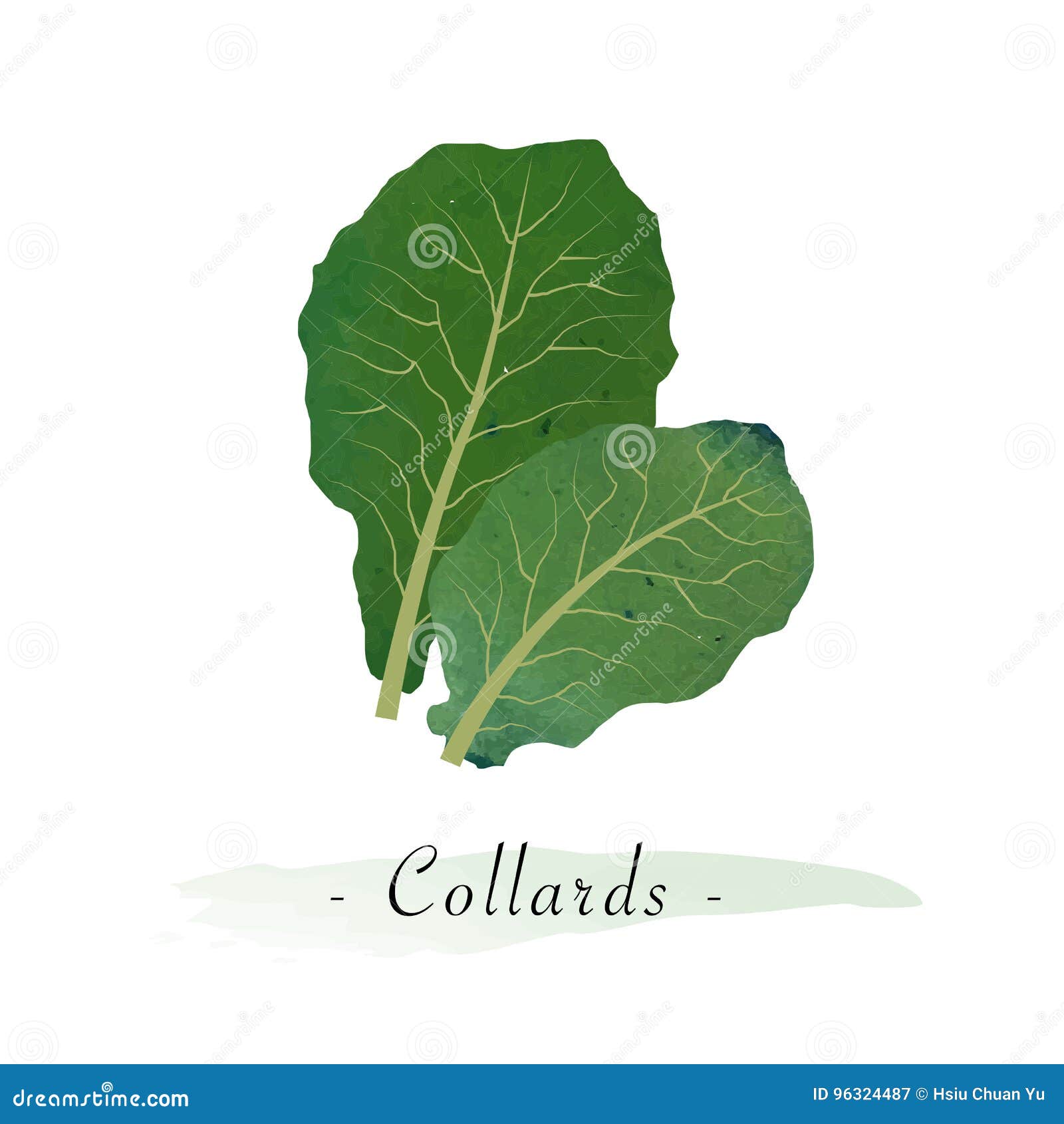 A Colorful Watercolor Texture Vector Healthy Vegetable Collards Stock ...