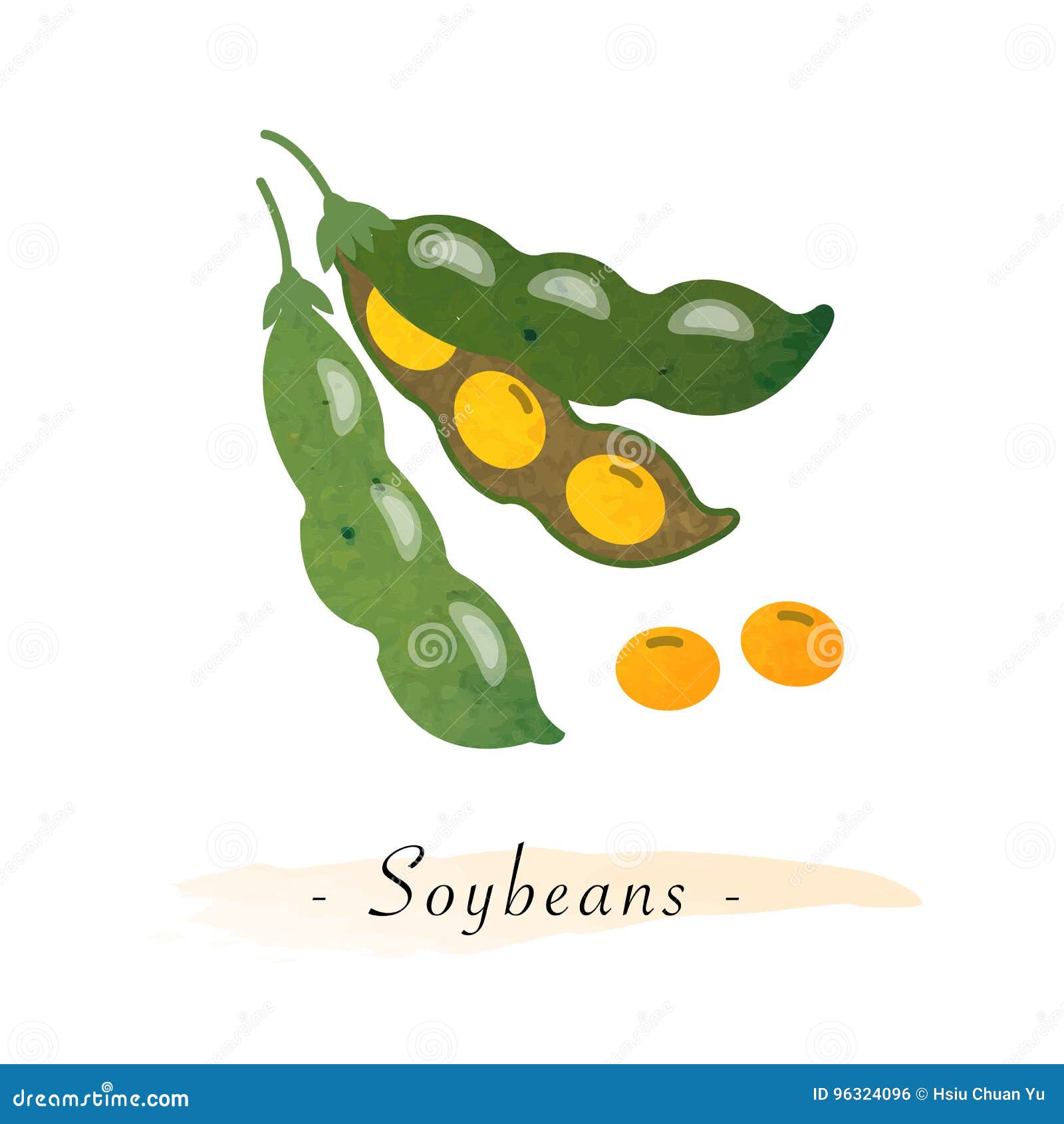 A Colorful Watercolor Texture Vector Healthy Vegetable Soybean Stock ...